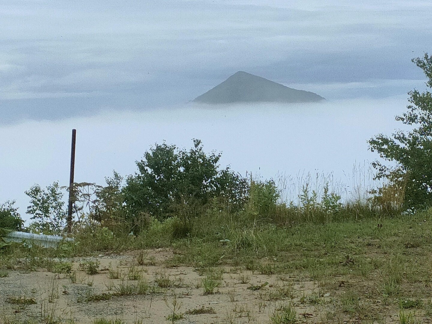 落合岳 熊の糞だらけ / maekaoさんのトマム山の活動データ | YAMAP / ヤマップ