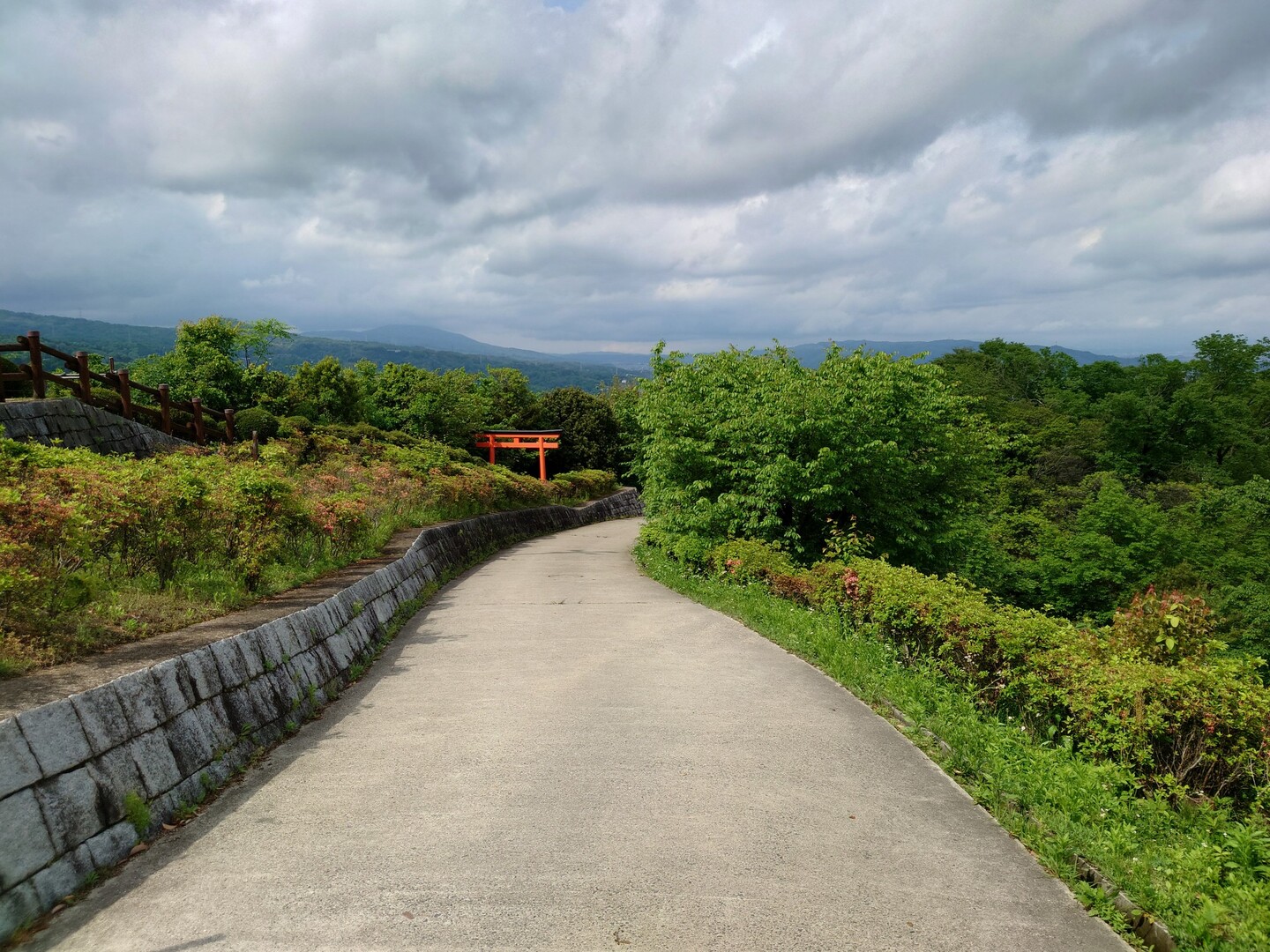 優良物件🤣明神山 / bessanさんの生駒山・神津嶽・大原山の活動日記 | YAMAP / ヤマップ