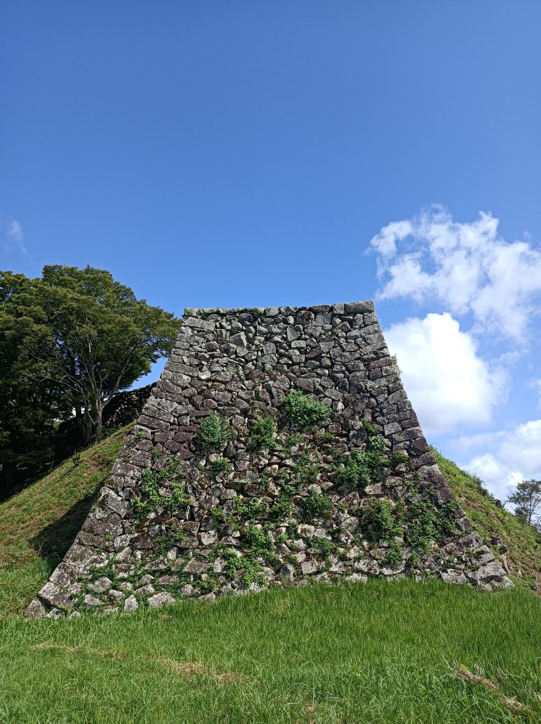 霊亀山〜津和野城とSLやまぐちを見に行く / ぽんさんの青野山・奥山の活動データ | YAMAP / ヤマップ