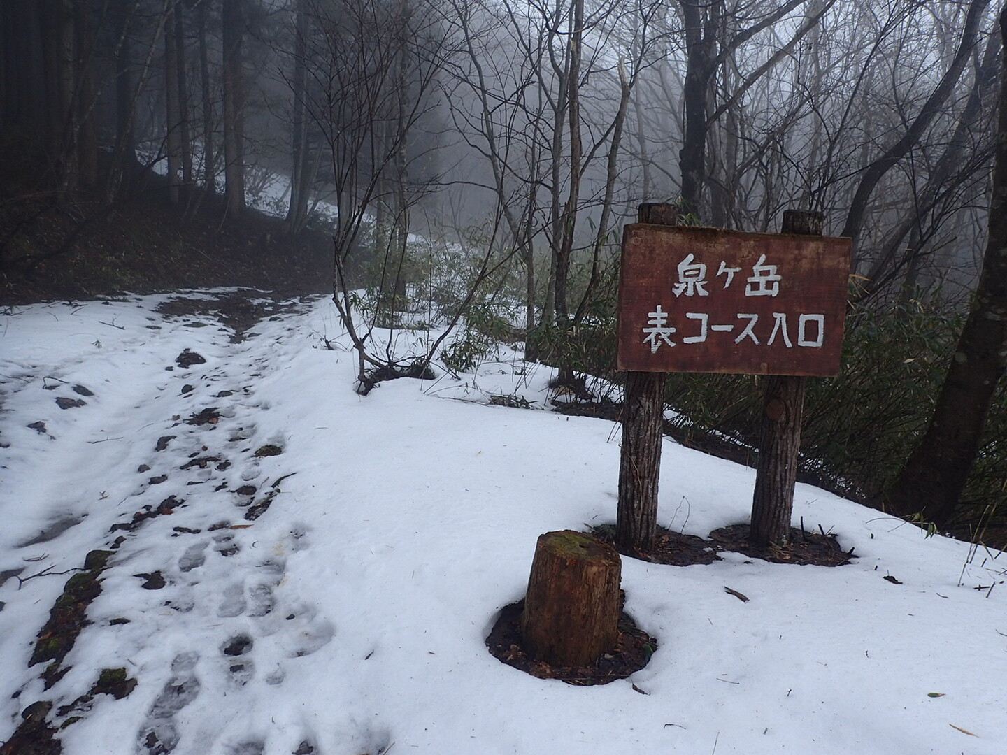 泉ヶ岳 表コース / niceageさんの船形山（御所山）・泉ヶ岳・蛇ヶ岳の活動日記 | YAMAP / ヤマップ