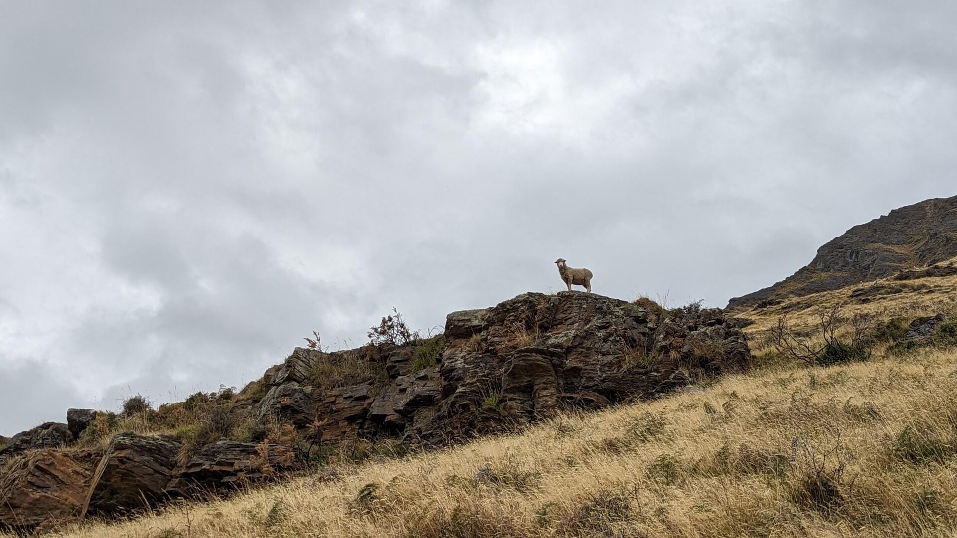 20230502 newzealand moonlight track / kohei210112さんのクイーンズタウンの活動データ ...