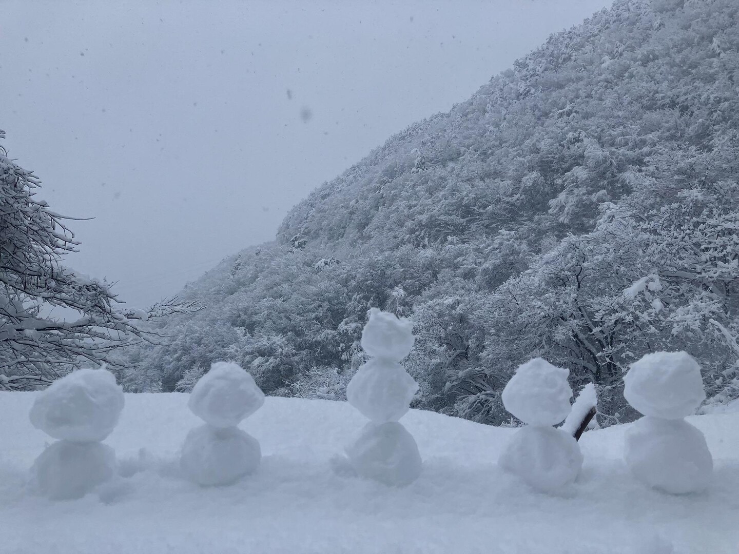 ホットコーヒーを飲みに🏔️☕️ ︎牛首山 / Naluさんの五頭山・菱ヶ岳・宝珠山の活動データ | YAMAP / ヤマップ