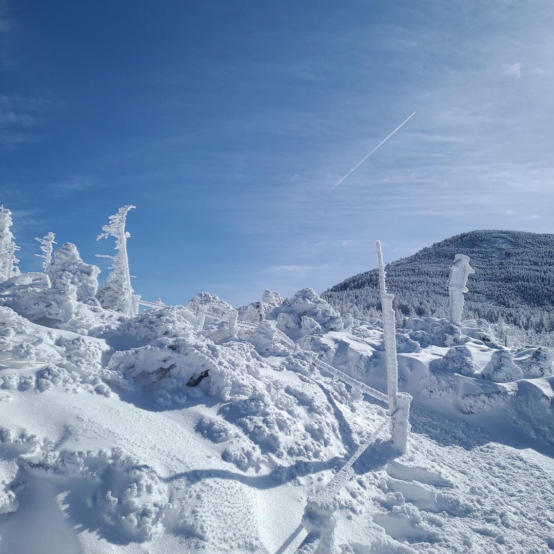 憧れの白駒荘へ / akkoさんの蓼科山・横岳・縞枯山の活動データ | YAMAP / ヤマップ