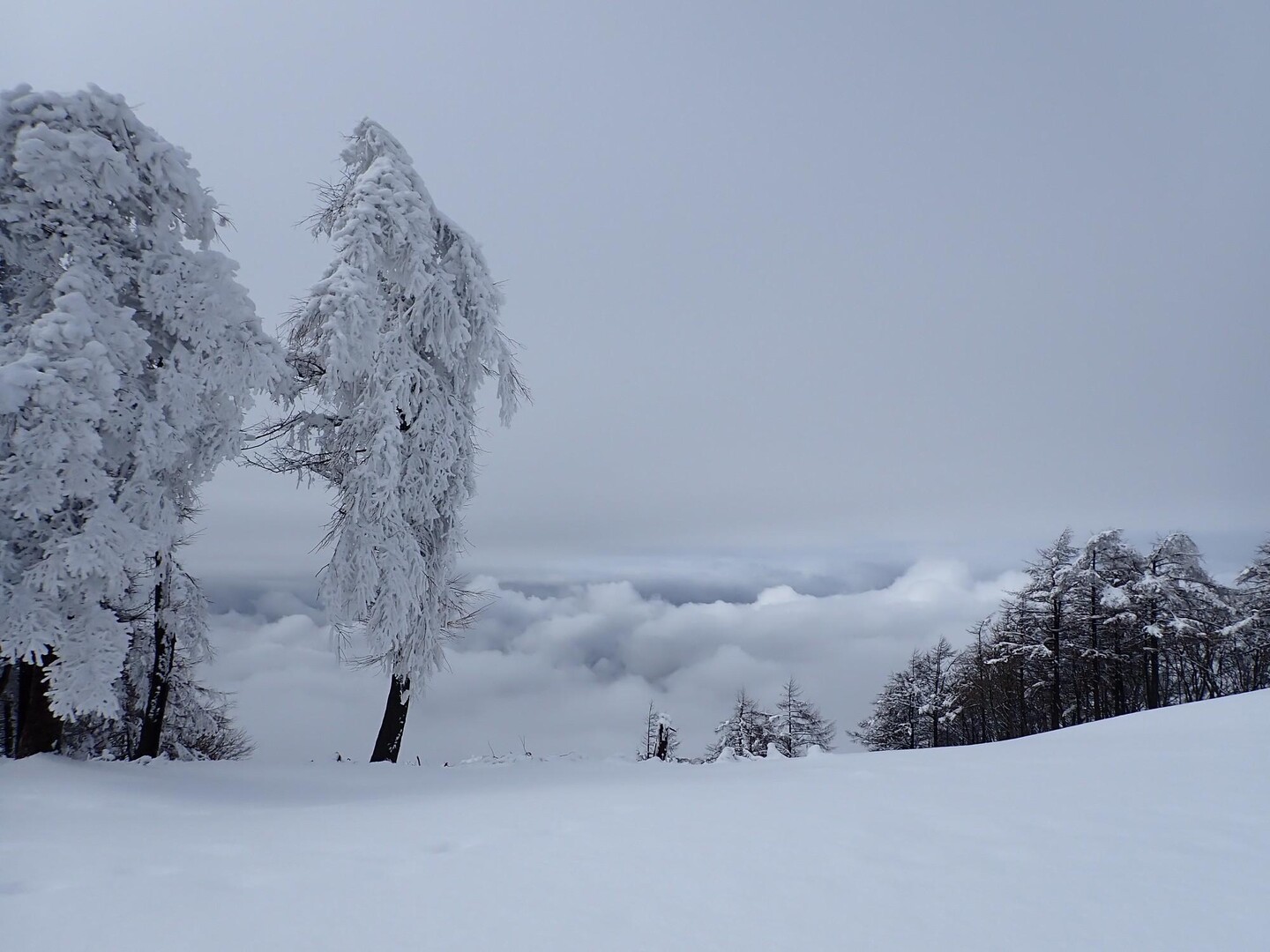 蘇武岳-2024-02-25 / MC先輩さんの蘇武岳の活動日記 | YAMAP / ヤマップ
