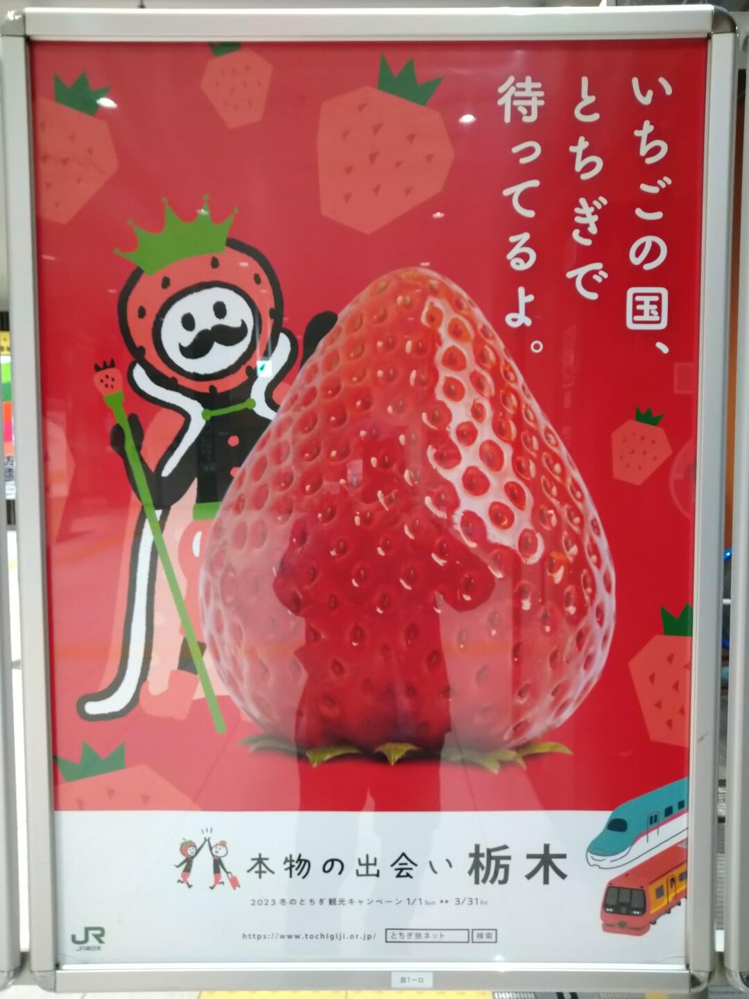とちぎぃ～。 / 栃木のやまびこ123号さんのモーメント | YAMAP / ヤマップ