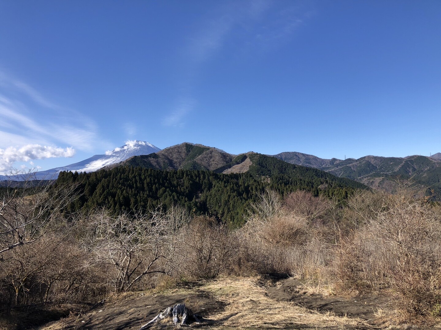 道の駅すばしり〜三国山〜不老山〜小山公園縦走路⛰ / reoさんの三国山の活動日記 | YAMAP / ヤマップ