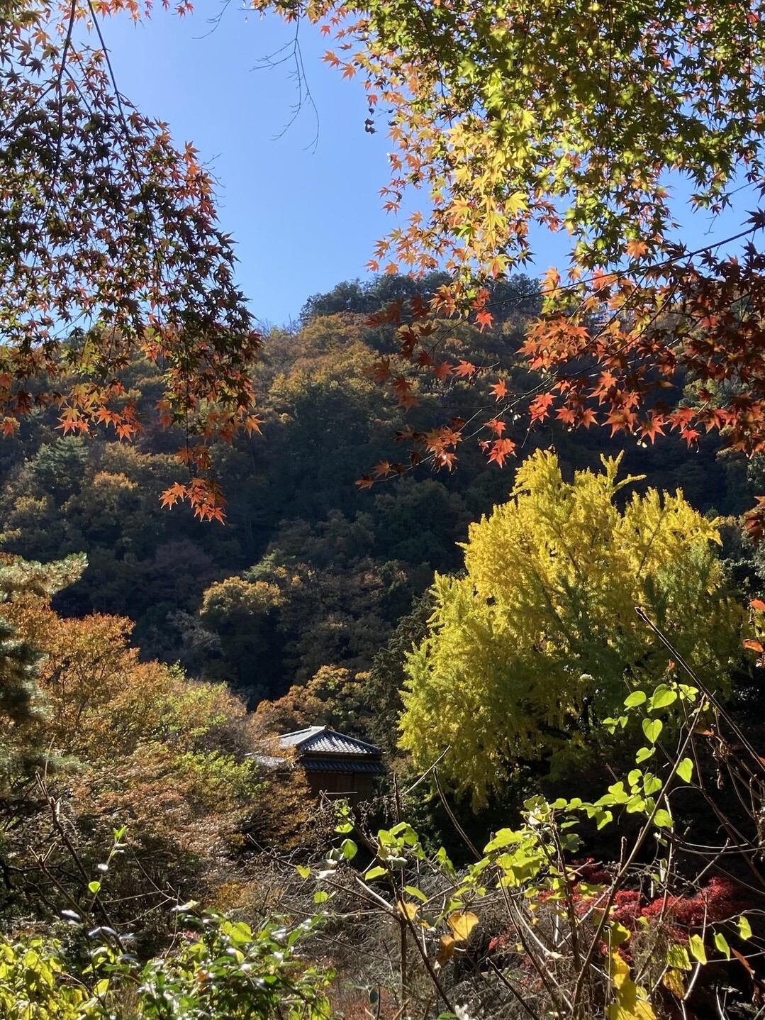 行道山•大岩山 / Mt.Mikiさんの両崖山・仙人ヶ岳・石尊山の活動データ | YAMAP / ヤマップ