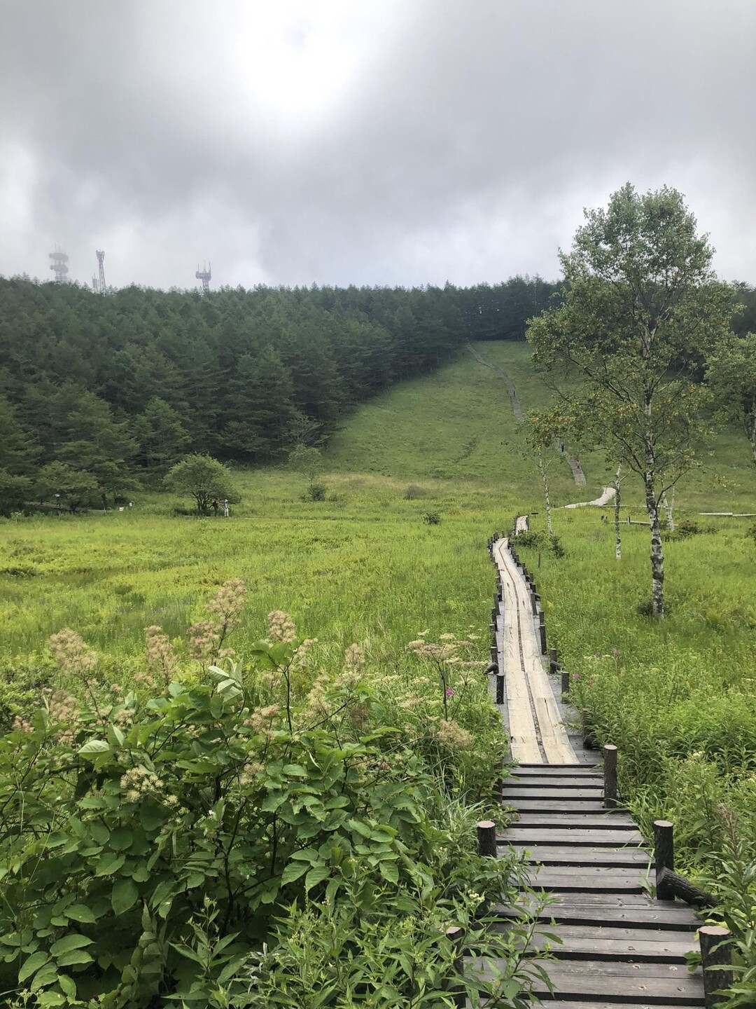 アカノラ山 / meくんさんの入笠山の活動データ | YAMAP / ヤマップ