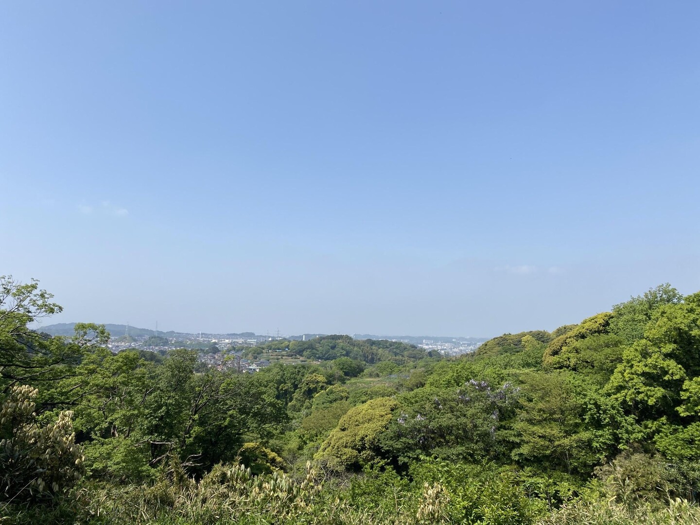大丸山・天園・大平山・鷲峰山 / elieeさんの鎌倉アルプス（大平山・天台山）の活動データ | YAMAP / ヤマップ