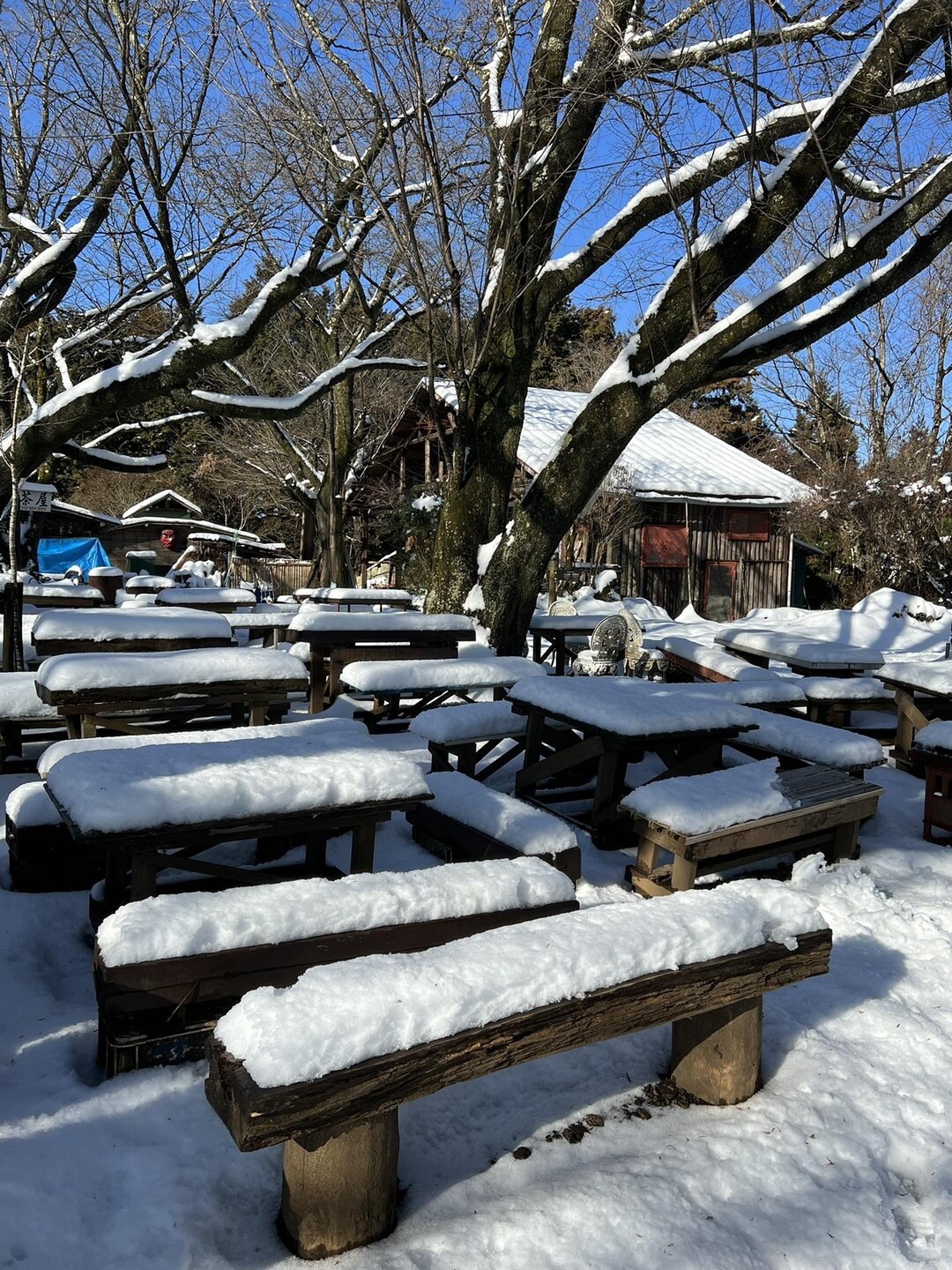 雪山・高尾山/城山 / hanさんの高尾山・陣馬山・景信山の活動データ | YAMAP / ヤマップ
