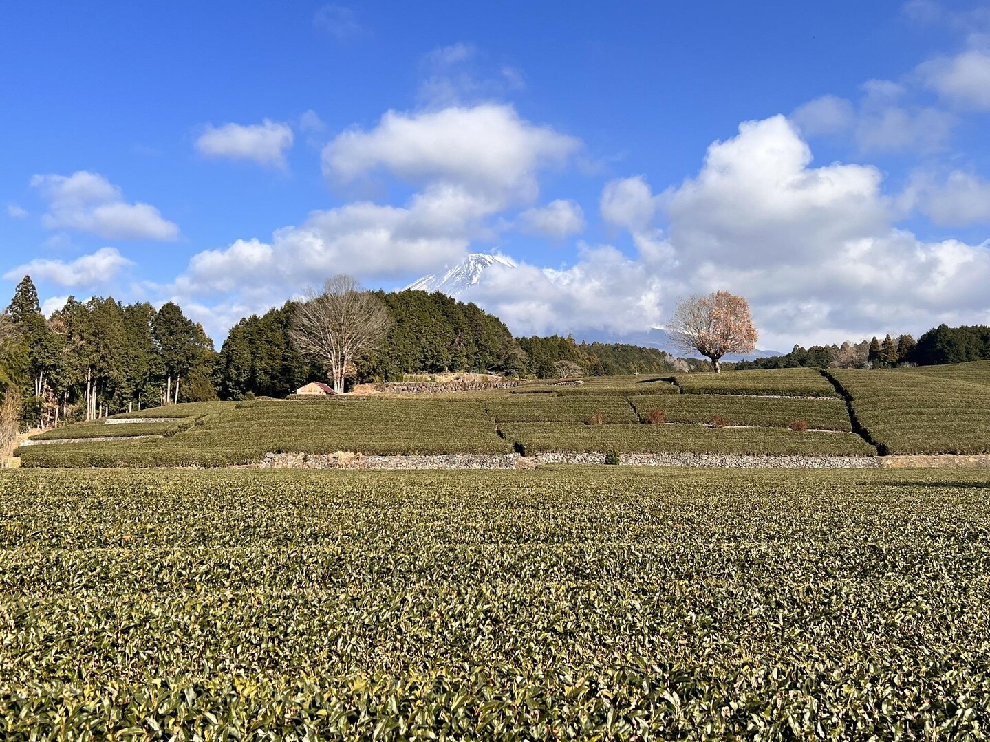 大淵笹場とその周辺をひとりさわやかウォーキング👣⸒⸒ / ZUNさんの富士山登山ルート3776 2日目コースの活動データ | YAMAP / ヤマップ
