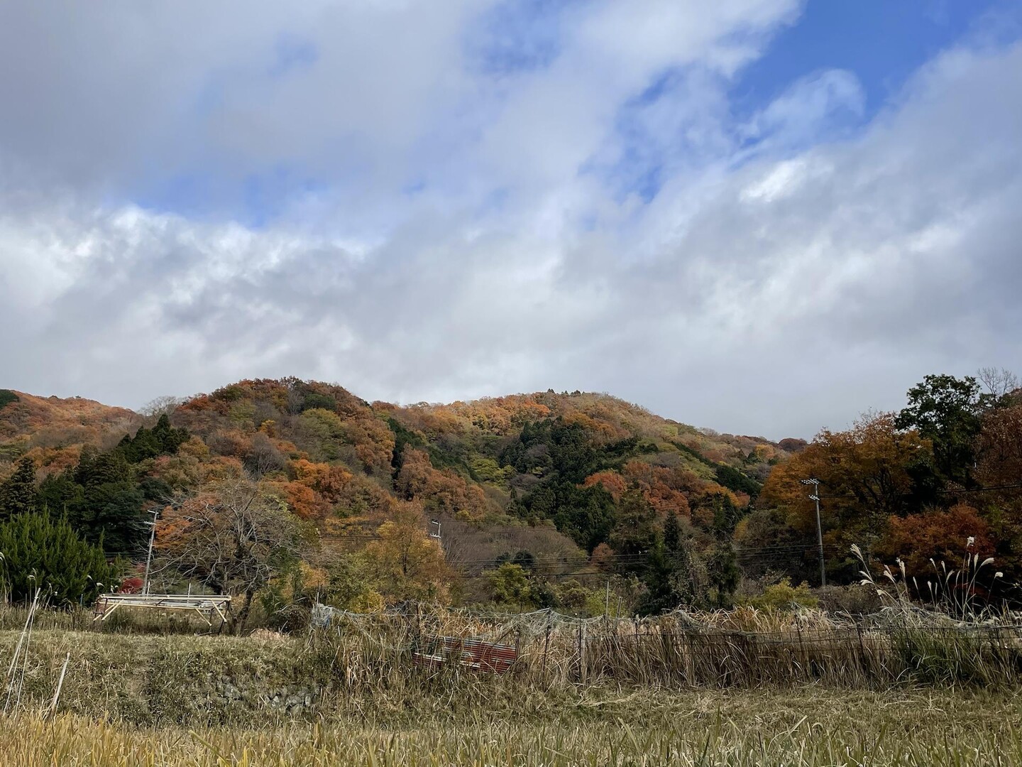 高代寺山～妙見山[🐻🐴🚋見学](妙見口 IN/OUT) / umi1711さんの妙見山の活動データ | YAMAP / ヤマップ