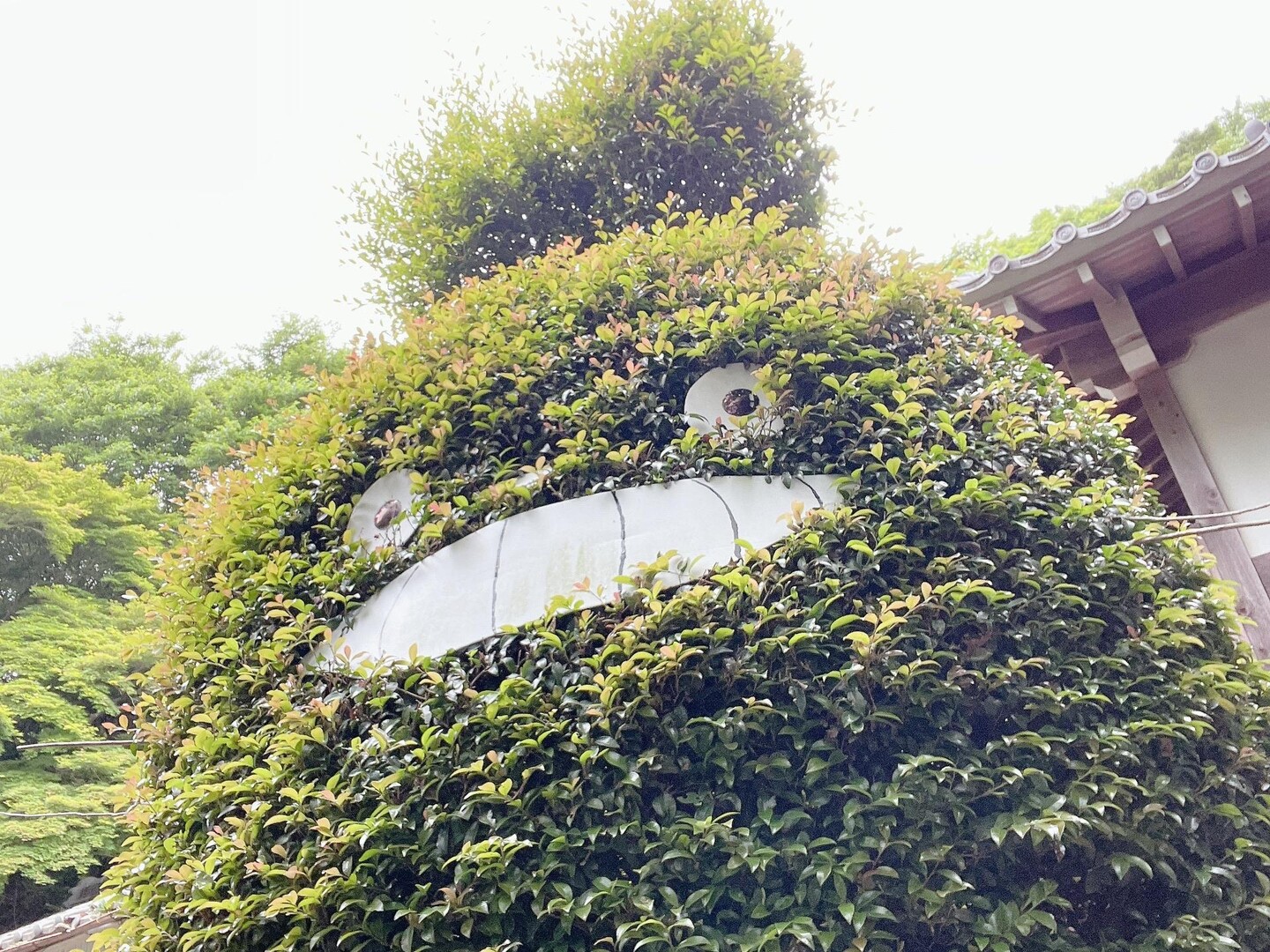 見影山 / lulu さんの三ヶ根山の活動データ | YAMAP / ヤマップ