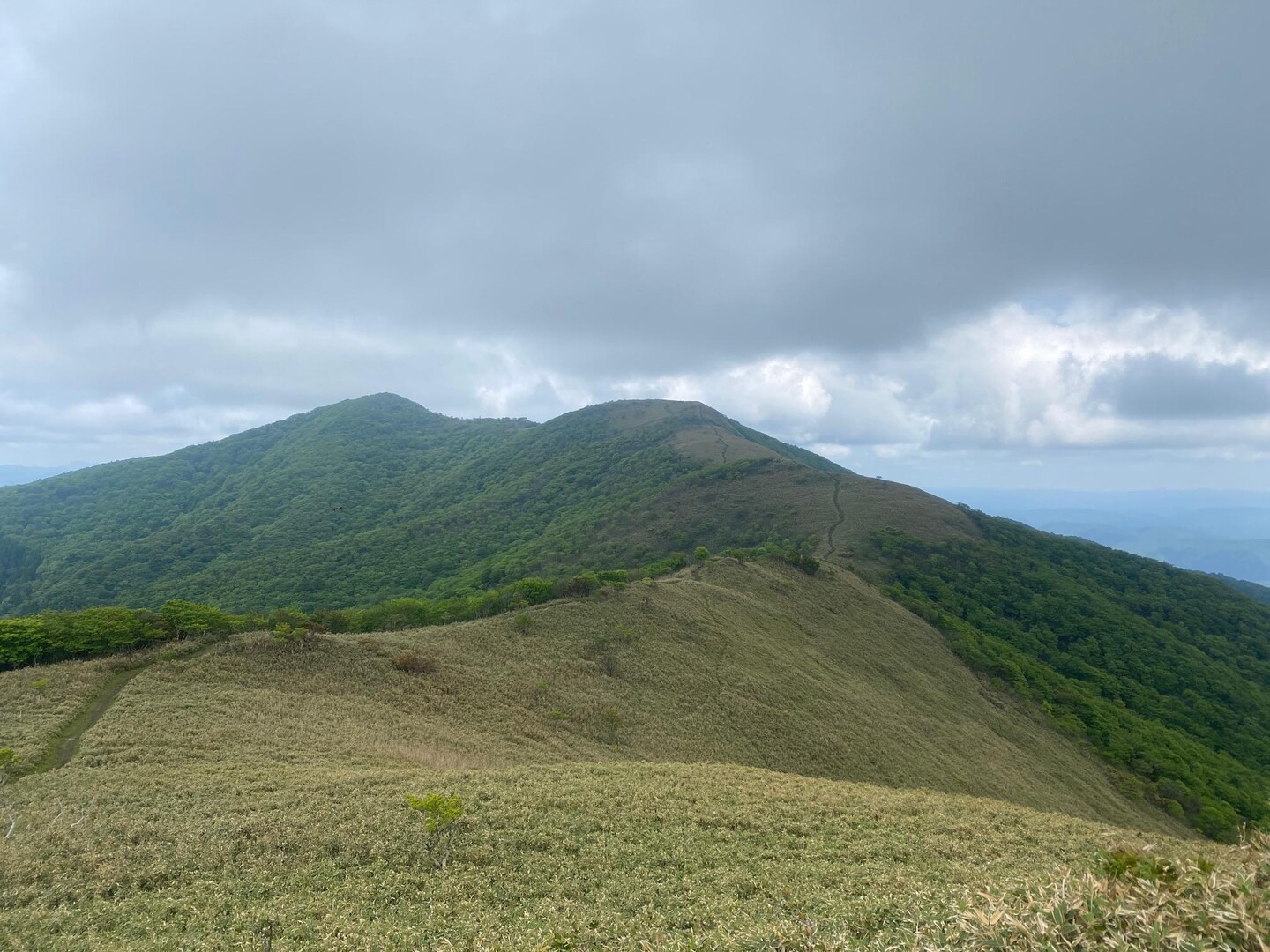 梅雨入り前にふらっと那岐山⛰️ / ka10_UKさんの那岐山・滝山・広戸仙の活動データ | YAMAP / ヤマップ
