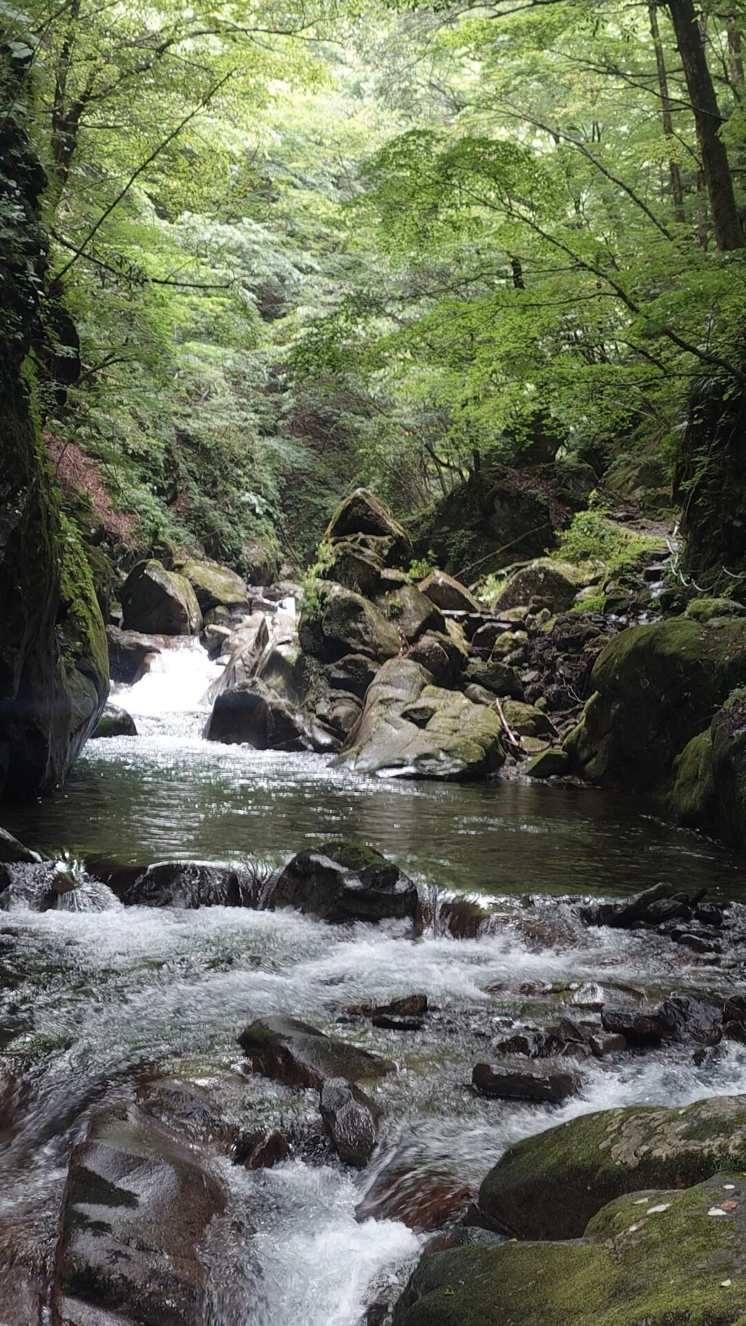 西沢渓谷 / hi-roさんの甲武信ヶ岳の活動データ | YAMAP / ヤマップ