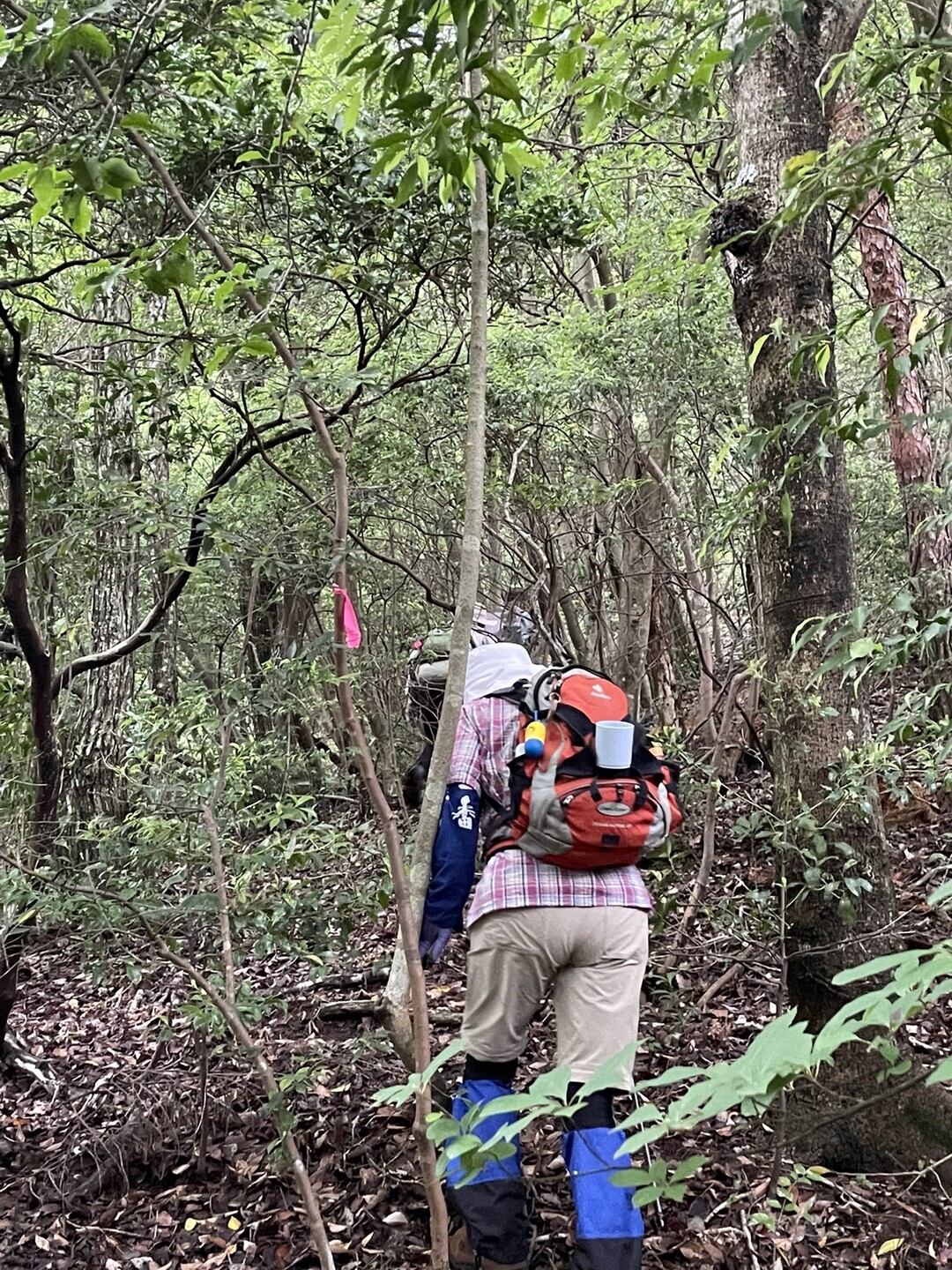 高森山 / JBT5さんの萩往還その1（萩市〜佐々並市）の活動データ | YAMAP / ヤマップ