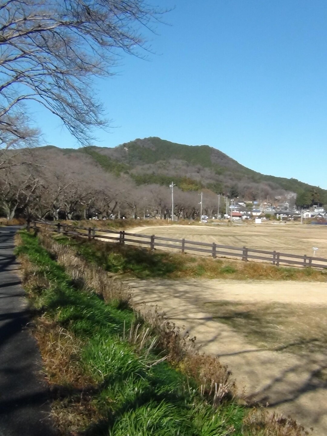 巾着田を散歩 2024.12.29 今年... / おすぎさんのモーメント | YAMAP / ヤマップ