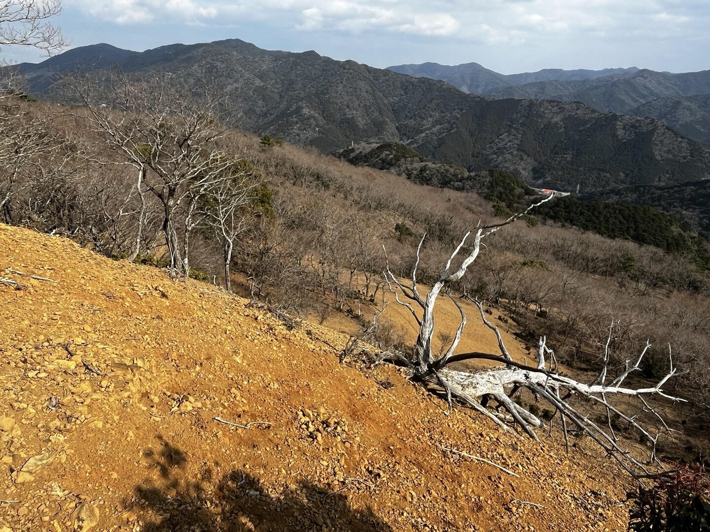 神岳 / TRA01さんの牛草山・神岳の活動データ | YAMAP / ヤマップ