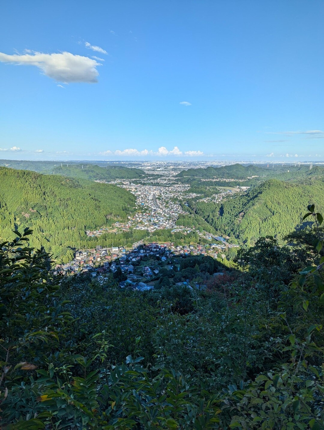 市道山・臼杵山 / Nori-Benさんの高尾山・陣馬山・景信山の活動データ | YAMAP / ヤマップ