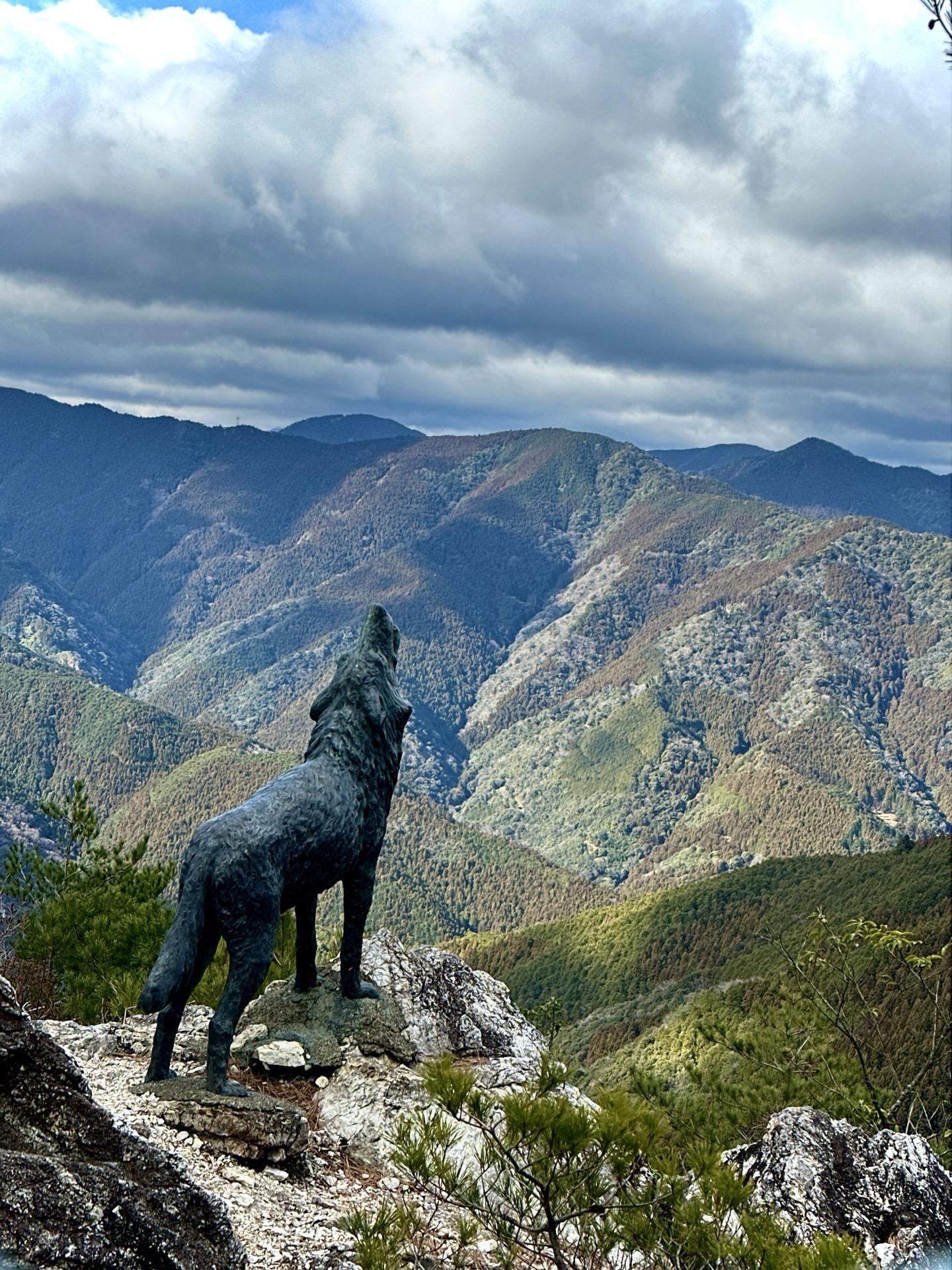 太竜寺山 オオカミ( ´･･)ﾉ🐺 ˙⁎⋆ / sa--さんの太竜寺山の活動データ | YAMAP / ヤマップ