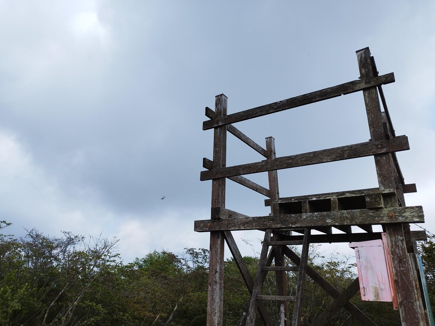 根本山（周回・日帰り） / YK_ygtさんの根本山・熊鷹山・氷室山の活動データ | YAMAP / ヤマップ