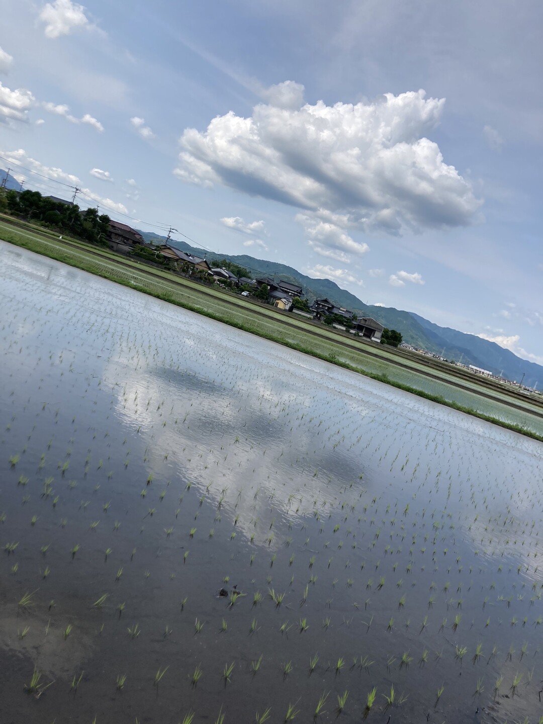 我がふるさと、田植え始まる🐸 / たかっshiさんのモーメント | YAMAP / ヤマップ