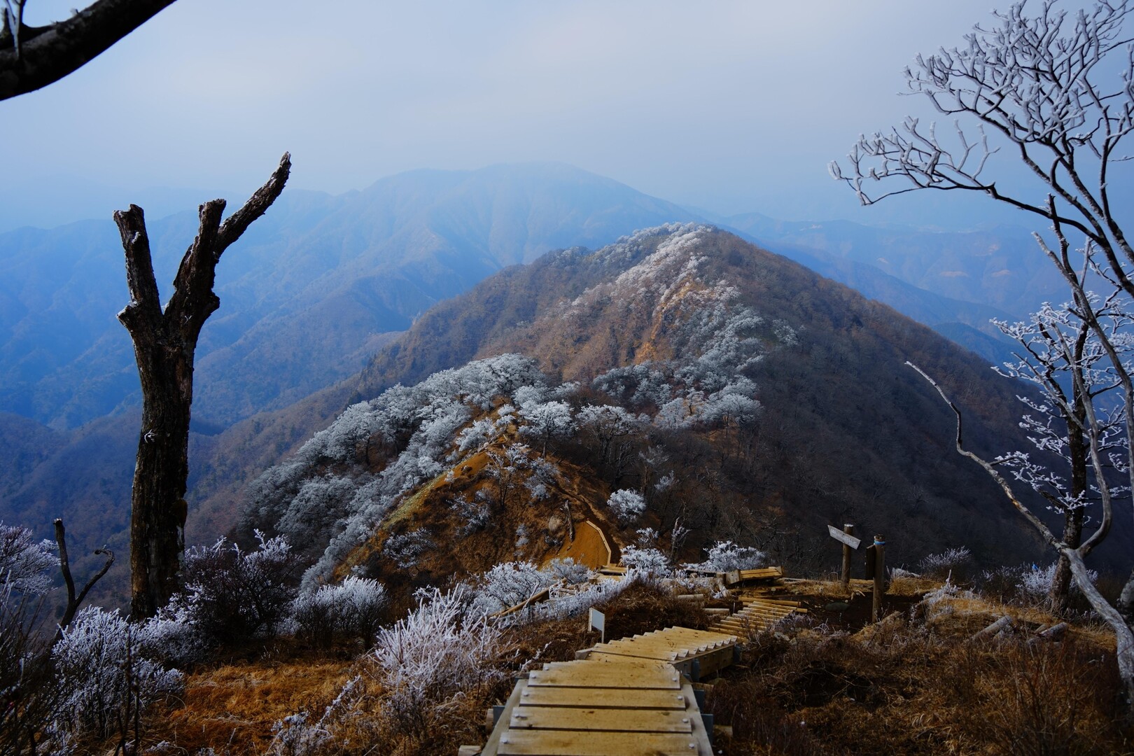 檜洞丸(西丹沢VC〜つつじ新道〜大越路〜西丹沢VC) / hinaさんの塔ノ岳・丹沢山・蛭ヶ岳の活動データ | YAMAP / ヤマップ