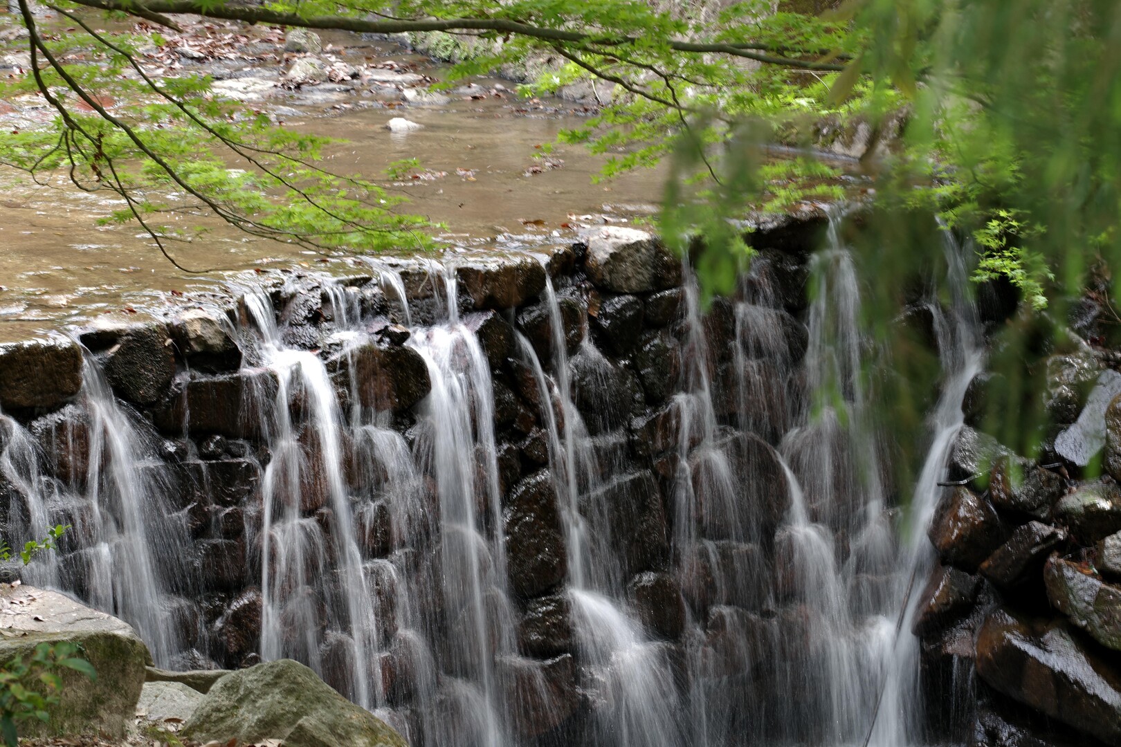 2024-04-17（水） 初の安芸区... / koroさんのモーメント | YAMAP / ヤマップ