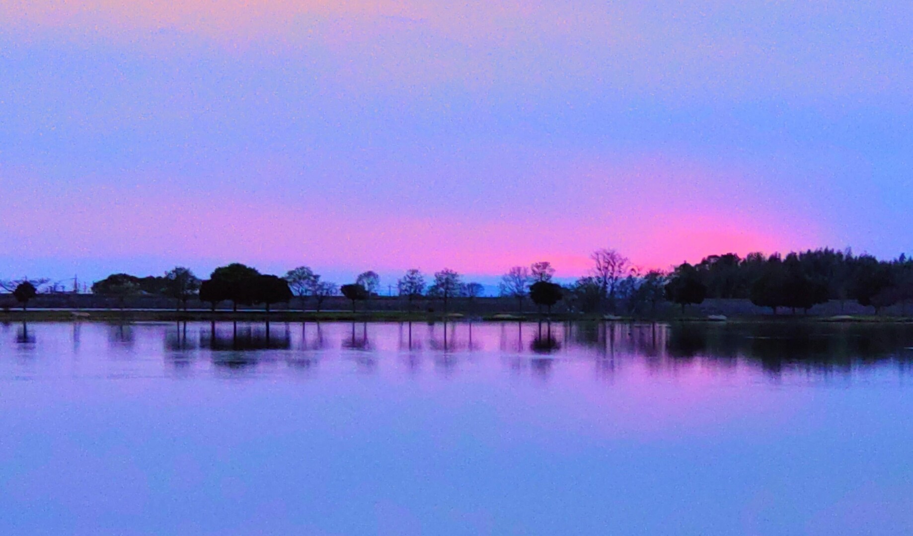 桜.舞い散る 印南野台地-2024-04-11 / NOBUさんのウォーキングの活動日記 | YAMAP / ヤマップ