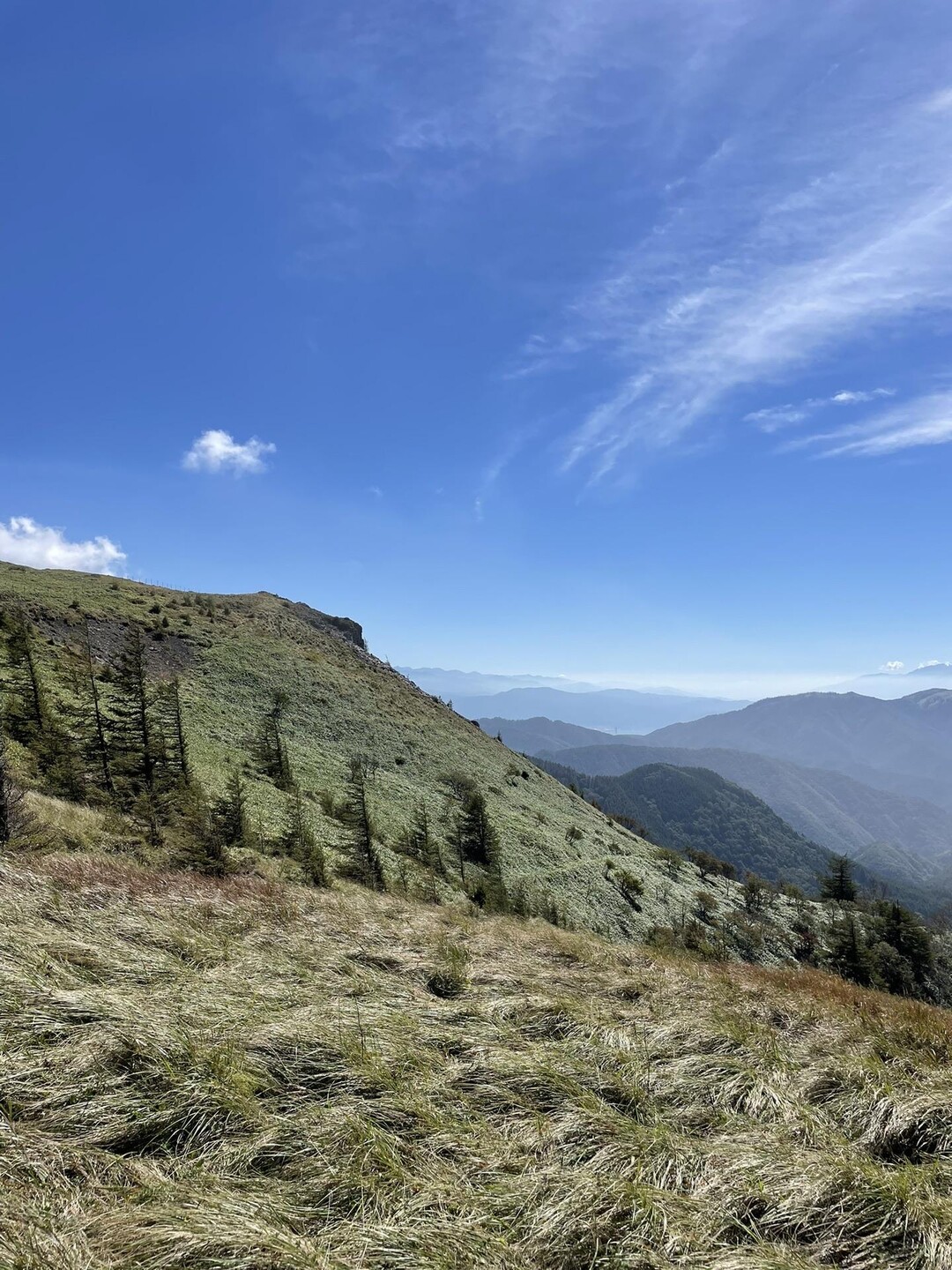 テナと美ヶ原へ / akkoさんのモーメント | YAMAP / ヤマップ