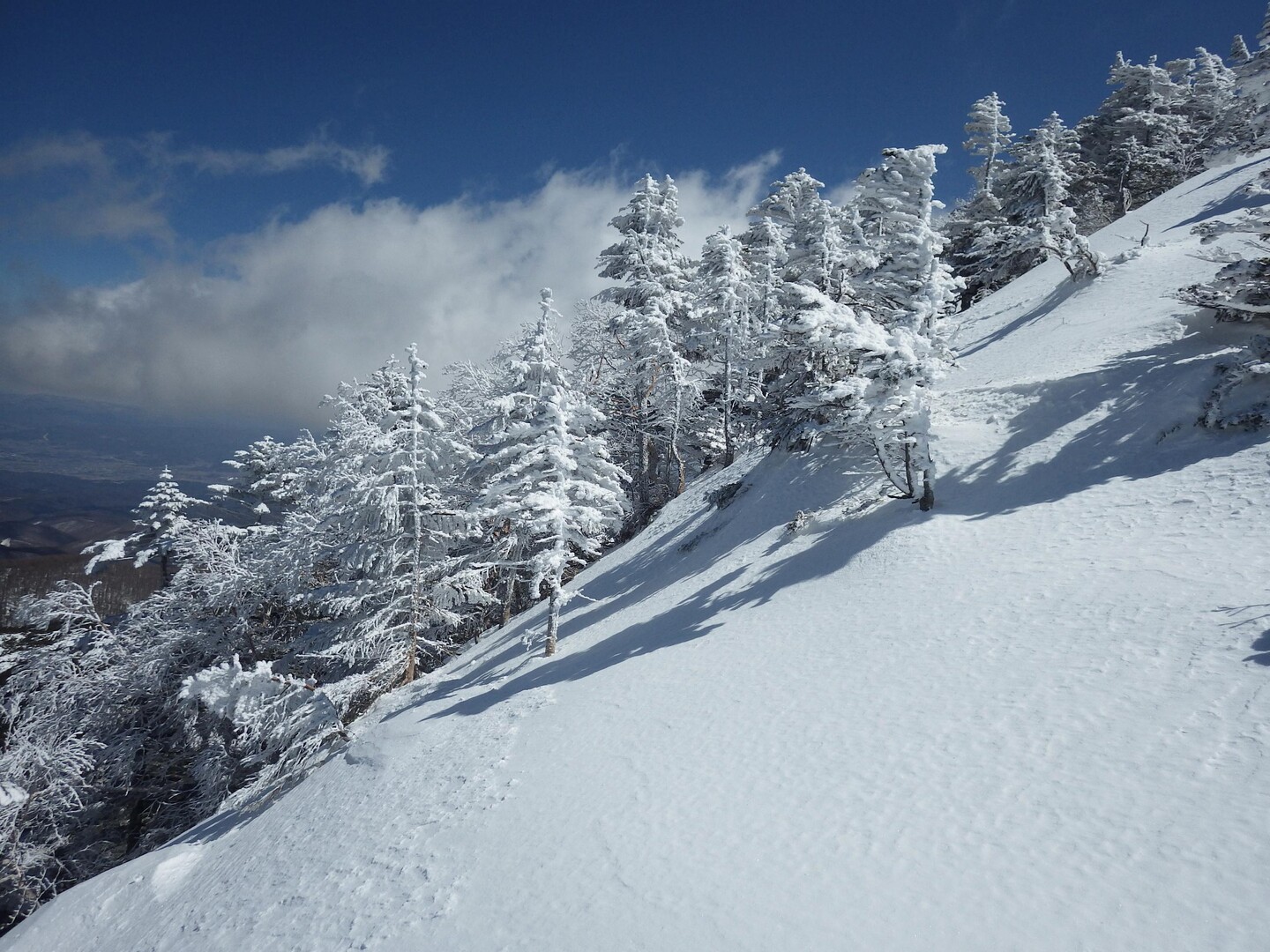 北横岳（竜源橋から裏街道） / RYZさんの蓼科山・横岳・縞枯山の活動データ | YAMAP / ヤマップ