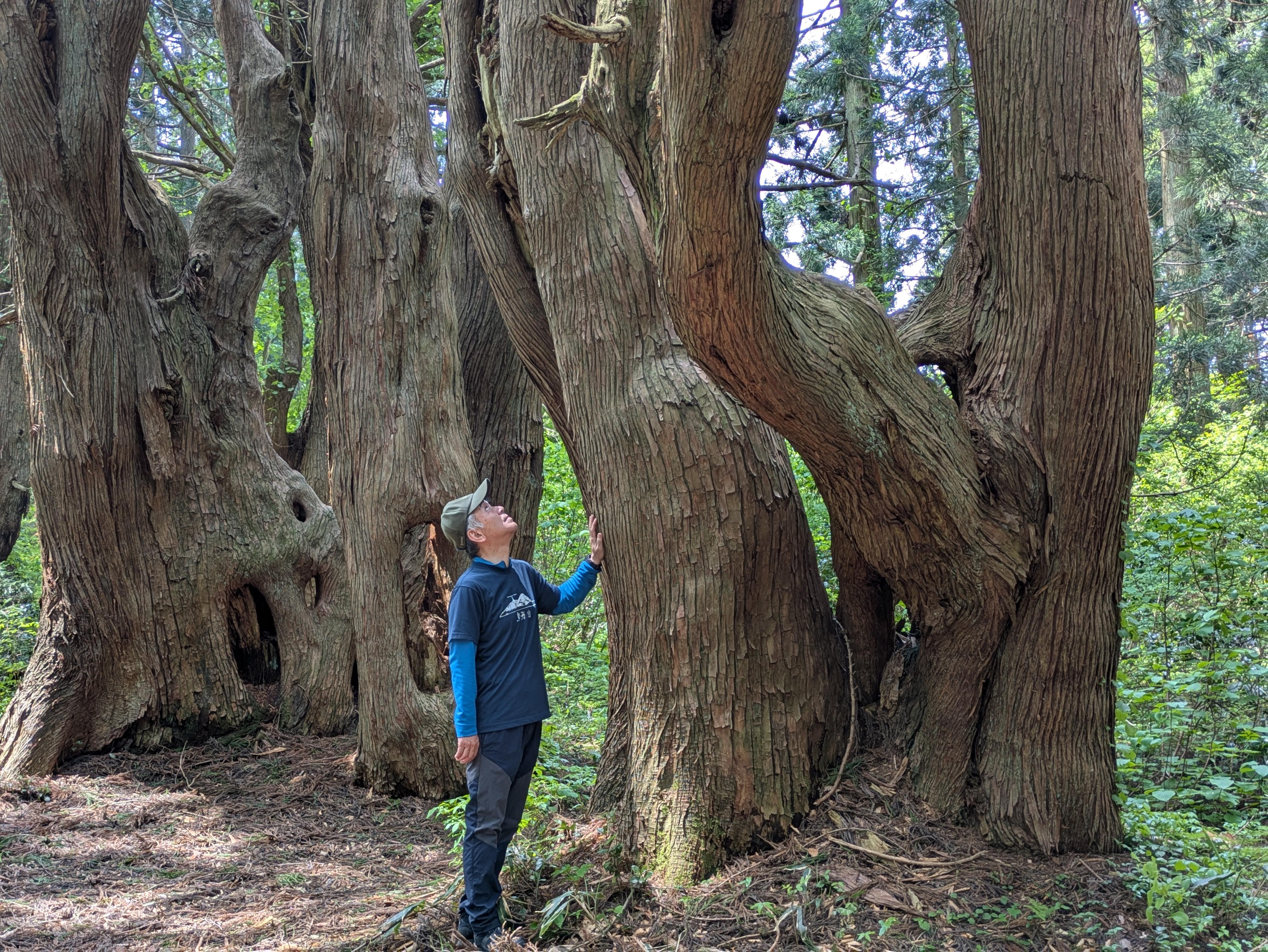 山形百（47） 土湯山＋「幻想の森」 1回目登山 52座目 / 10K walkerさんの土湯山の活動データ | YAMAP / ヤマップ