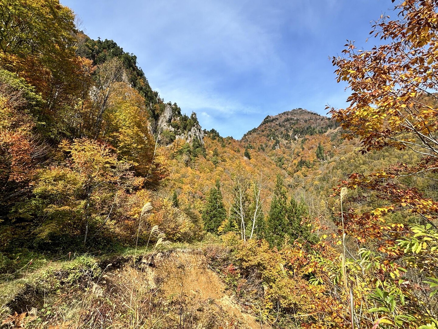 佐武流山 ⛰️⛰️ / KIYAtさんの白砂山・堂岩山・八間山の活動データ | YAMAP / ヤマップ