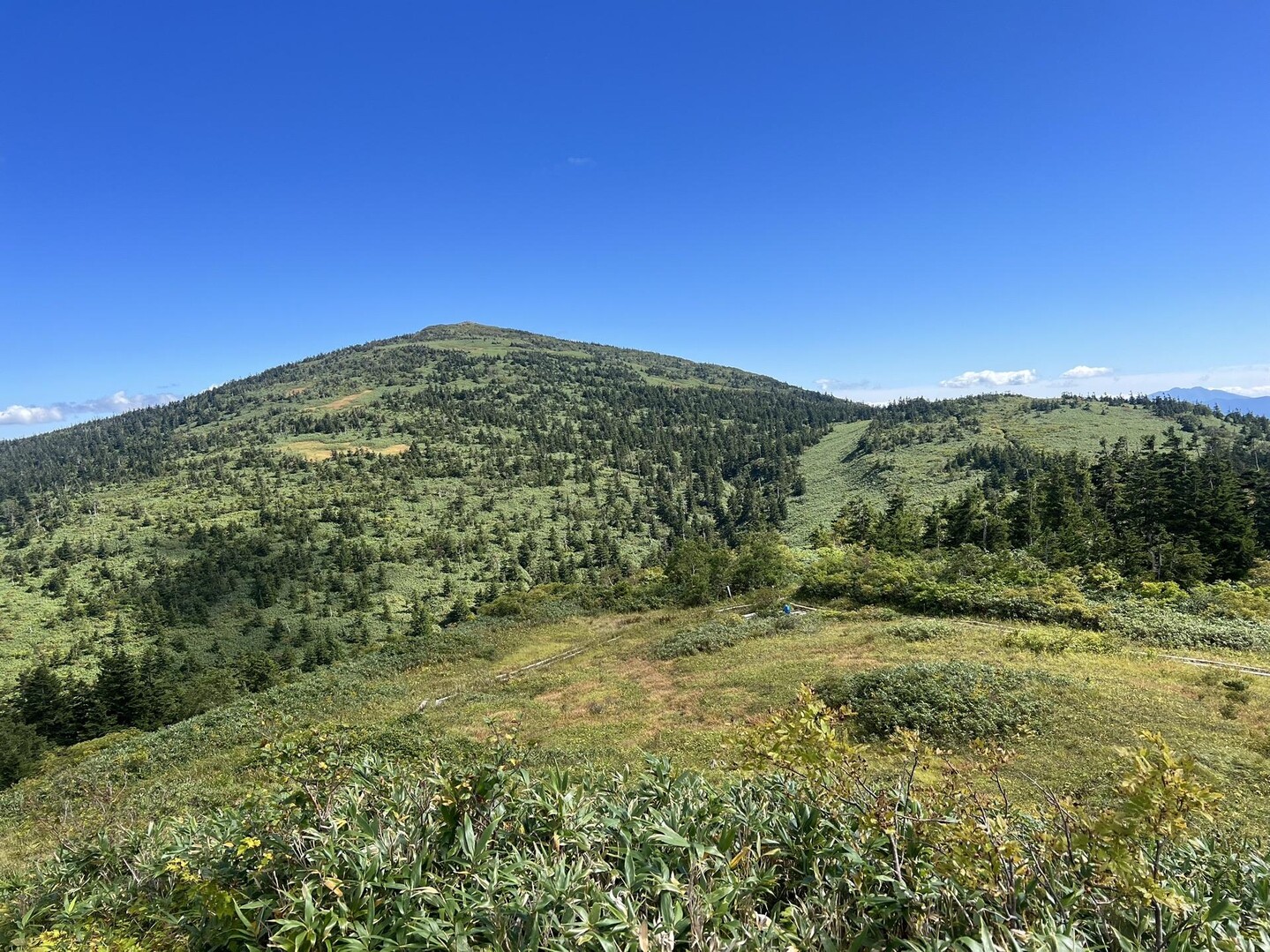 【秋田・森吉山】秋風感じる山へ / yanagi_outdoorさんの森吉山の活動データ | YAMAP / ヤマップ