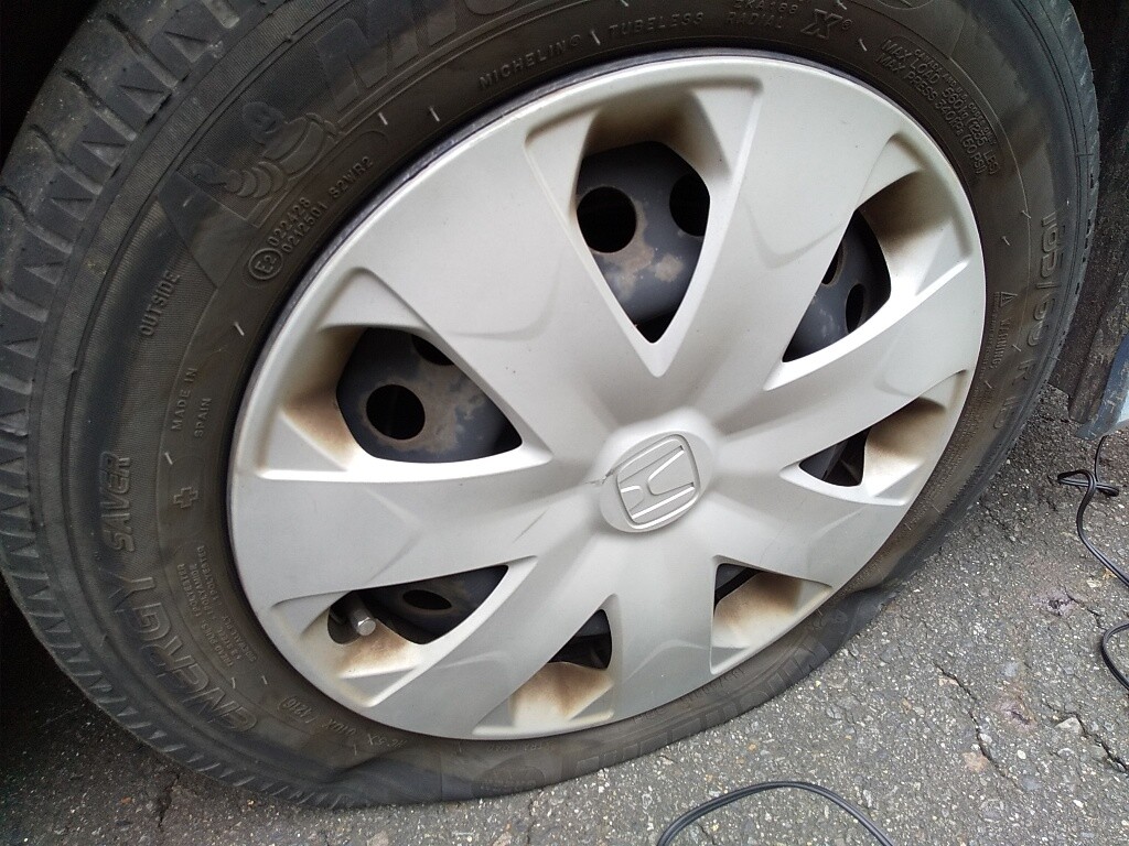 パンクは、ダムドが最高だにゃー(≧ ≦)... / NYAAさんのモーメント | YAMAP / ヤマップ