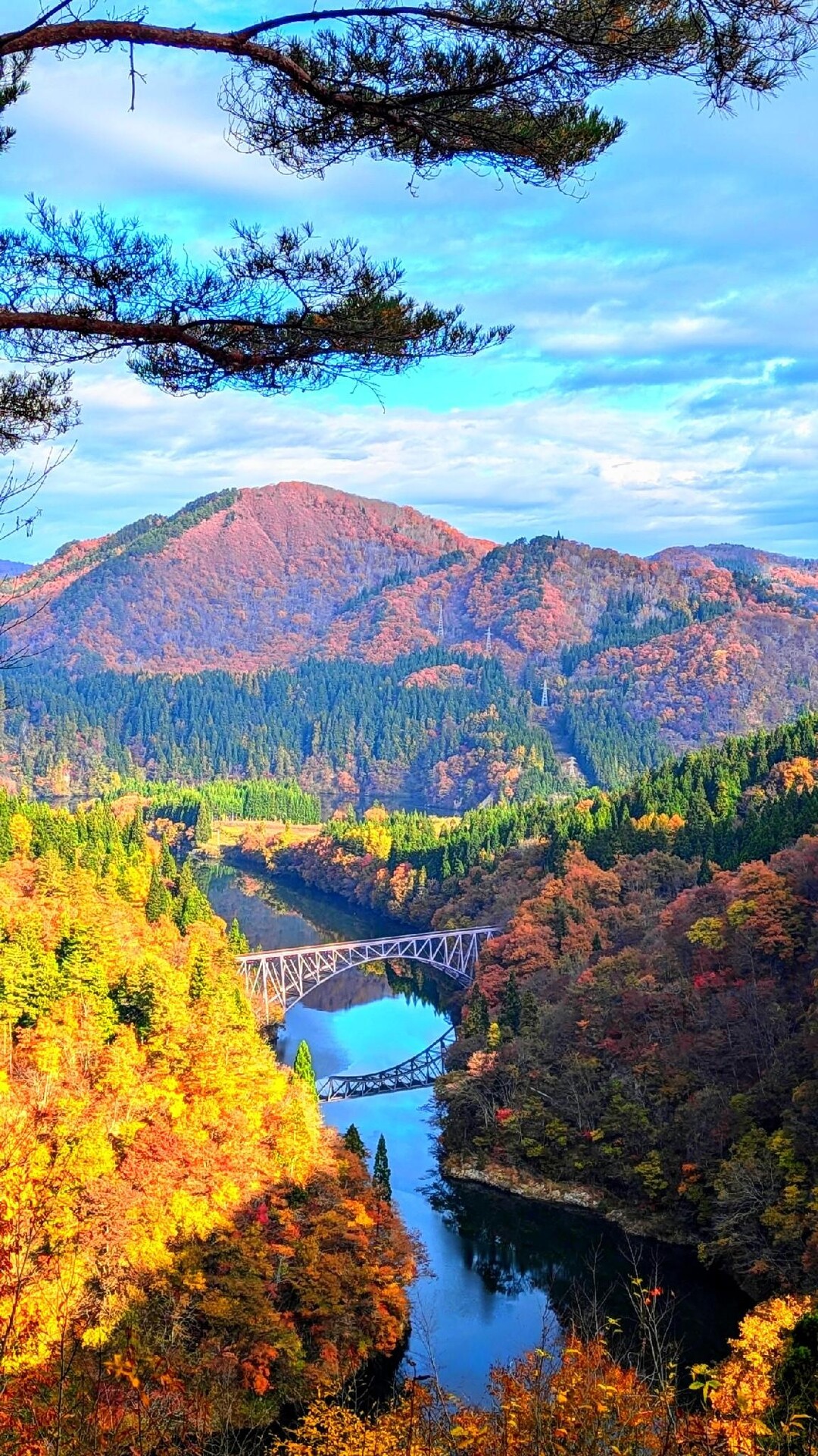 魅惑のJR只見線🚋 / 下町のエキストラさんの飯谷山の活動日記へのコメント一覧 | YAMAP / ヤマップ