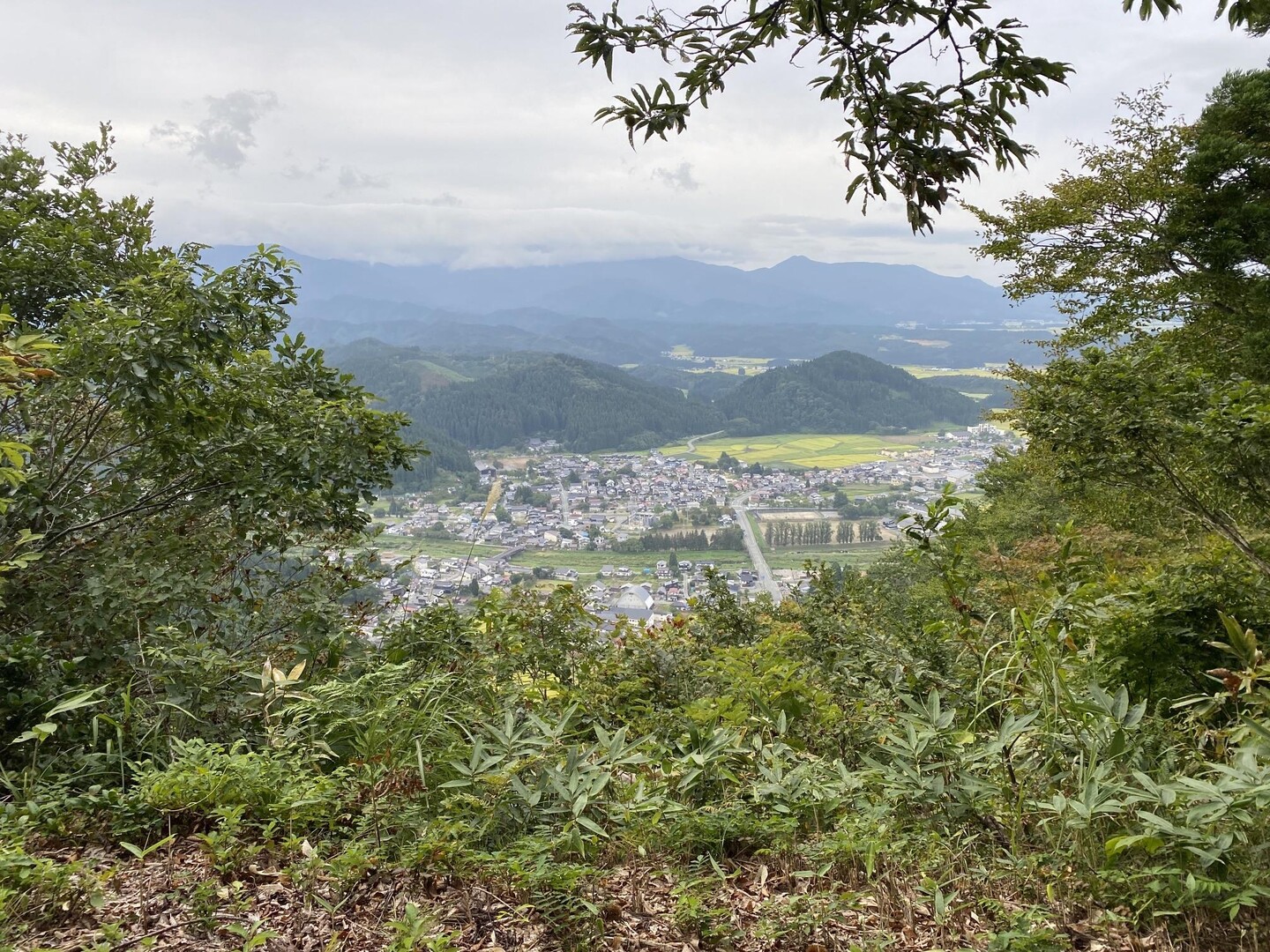 薬師山R5-18 / K.Racingさんの薬師山の活動データ | YAMAP / ヤマップ