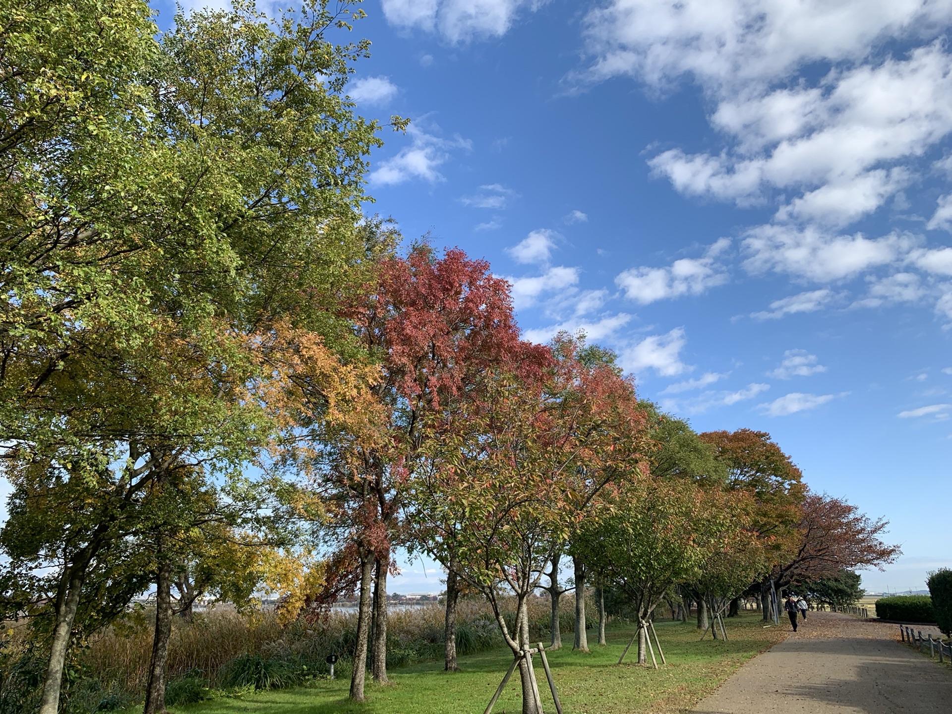 秋晴れ🌞 今日も暖かい♪ 🍞見せたら... / keyさんのモーメント | YAMAP / ヤマップ
