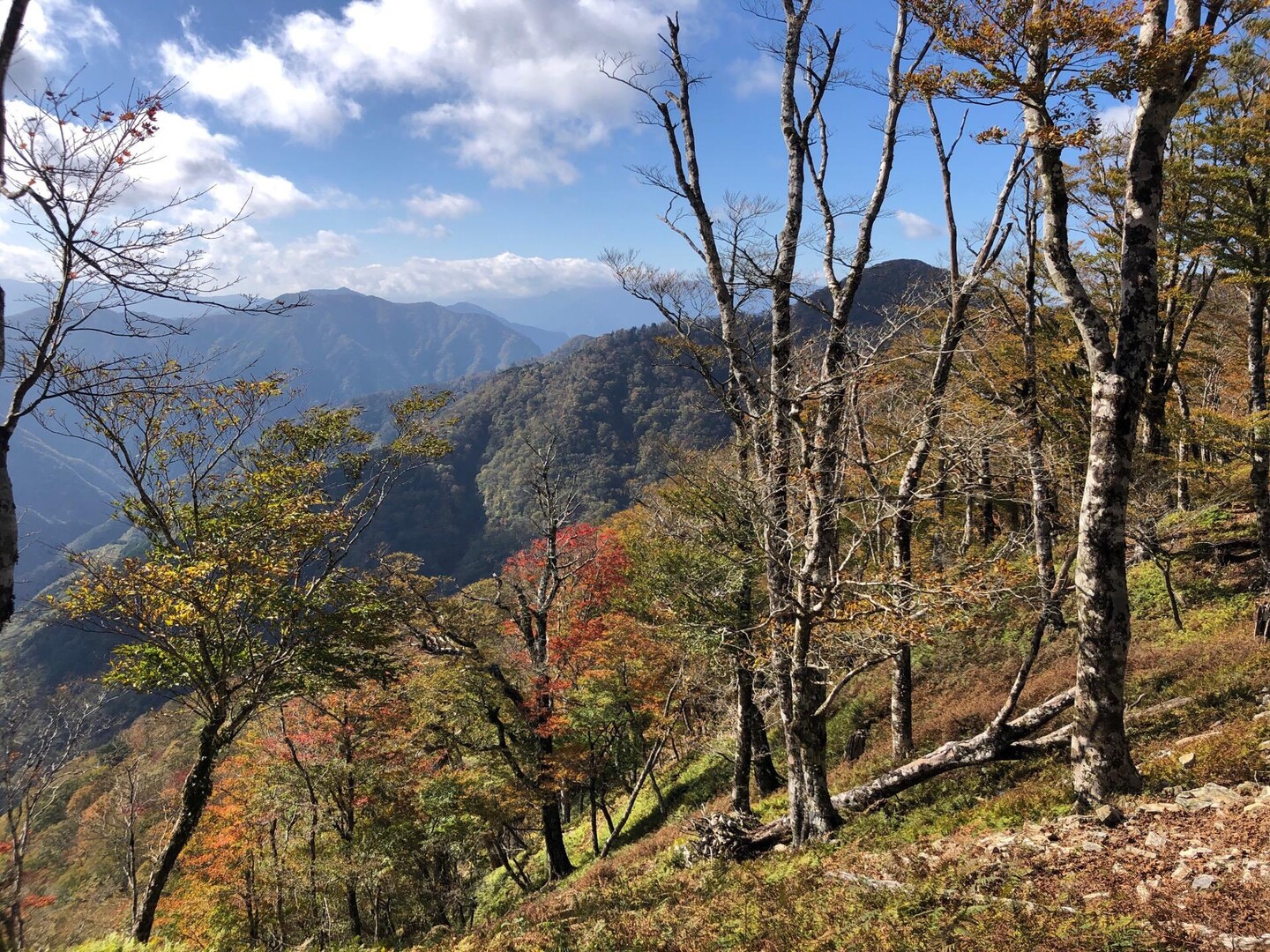 薊岳・明神岳・桧塚奥峰 / HiHiAさんの桧塚奥峰・明神岳・薊岳の活動データ | YAMAP / ヤマップ