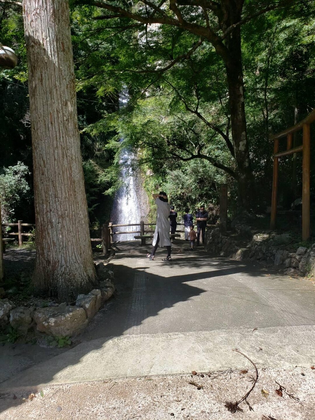 山行くつもりが 先週の台風でスーパー林道... / ☆taemon☆さんのモーメント | YAMAP / ヤマップ