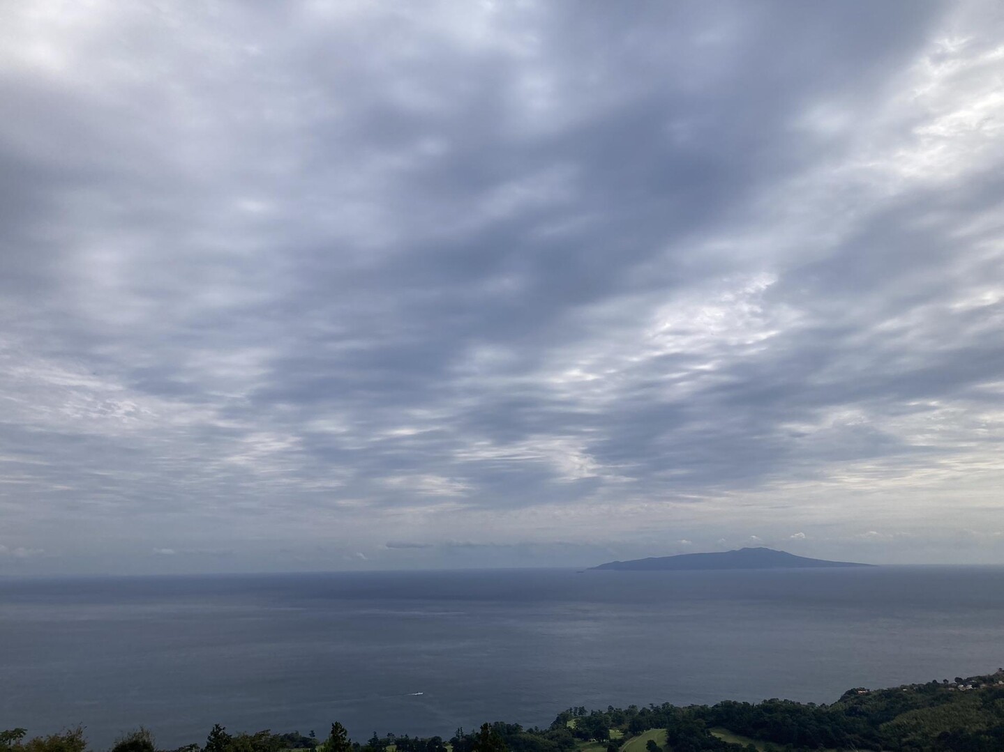 伊豆の小室山🌴🌊 / nem&samさんの小室山の活動データ | YAMAP / ヤマップ