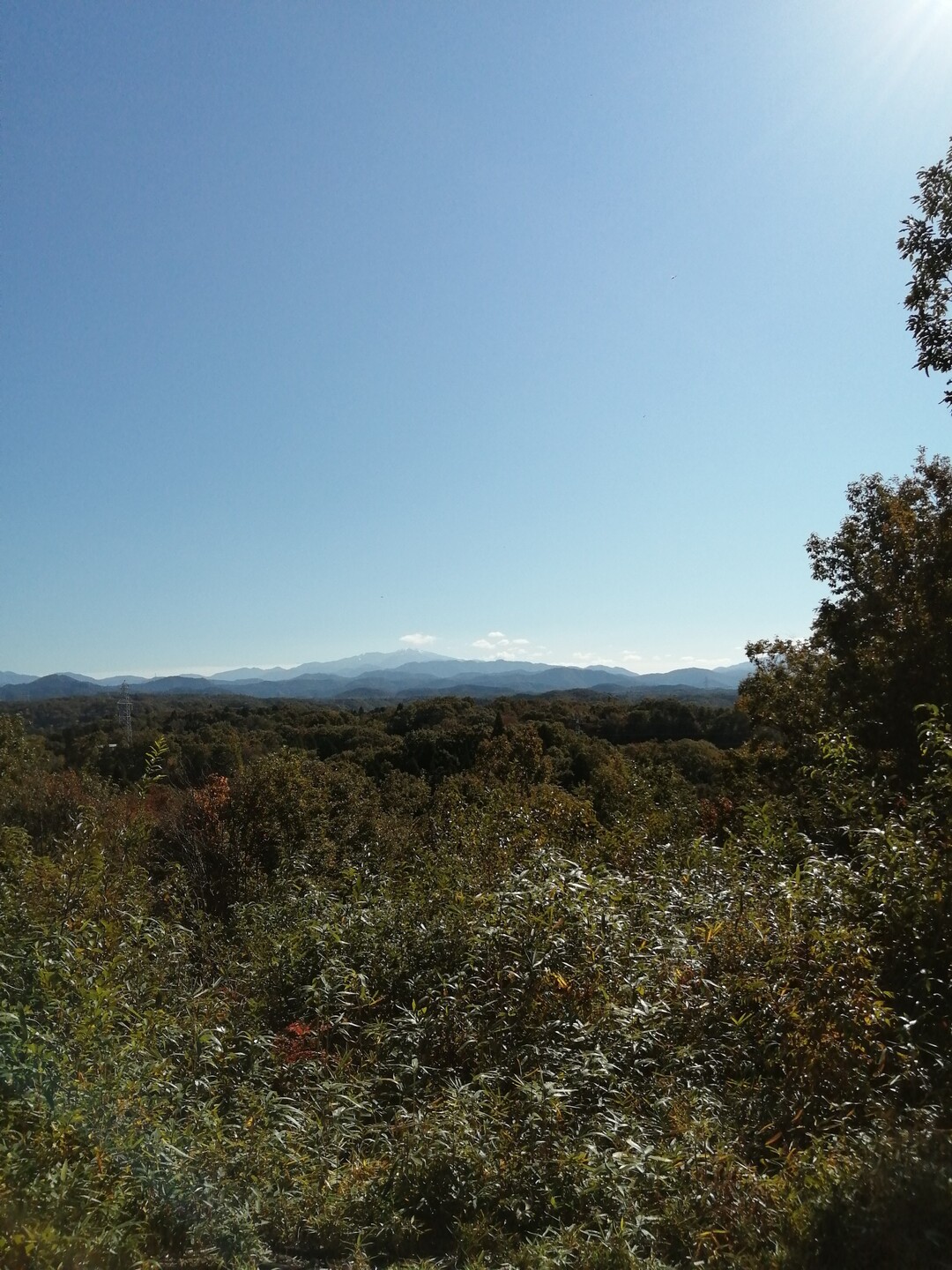 最低山？ 清水山・茶臼山 R3.11.7 / なまずさんの小松市の活動データ | YAMAP / ヤマップ