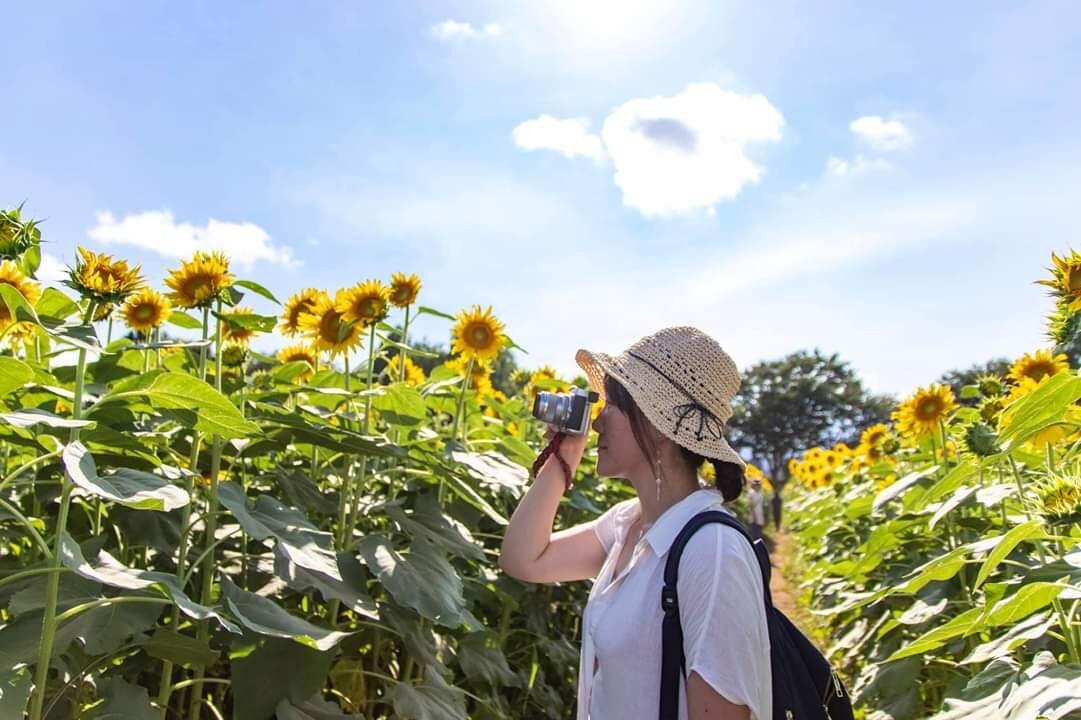 kazukoのページ | YAMAP / ヤマップ