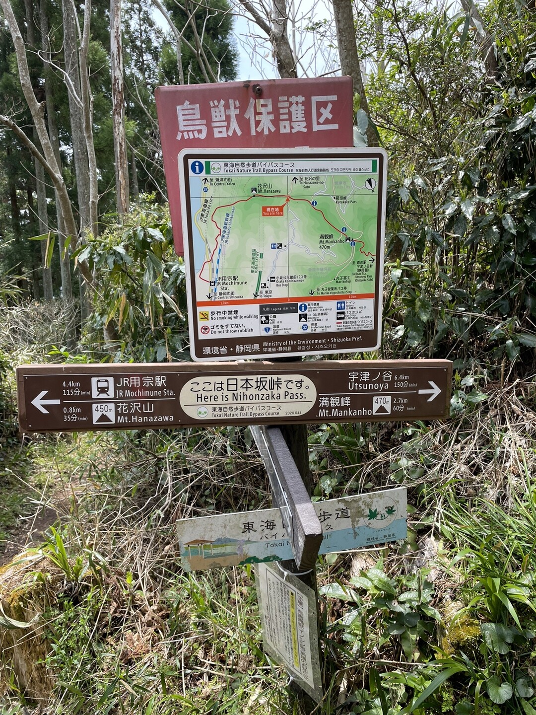 今回は、焼津市から日本坂を越え、静岡の用... / tacさんのモーメント | YAMAP / ヤマップ