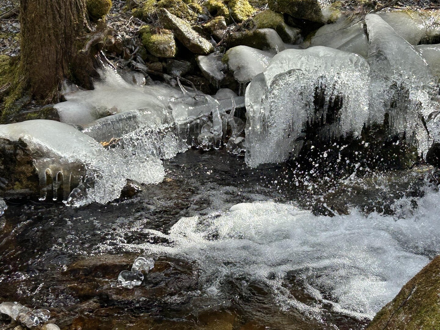 甲武信ヶ岳 / kaizaさんの甲武信ヶ岳の活動データ | YAMAP / ヤマップ
