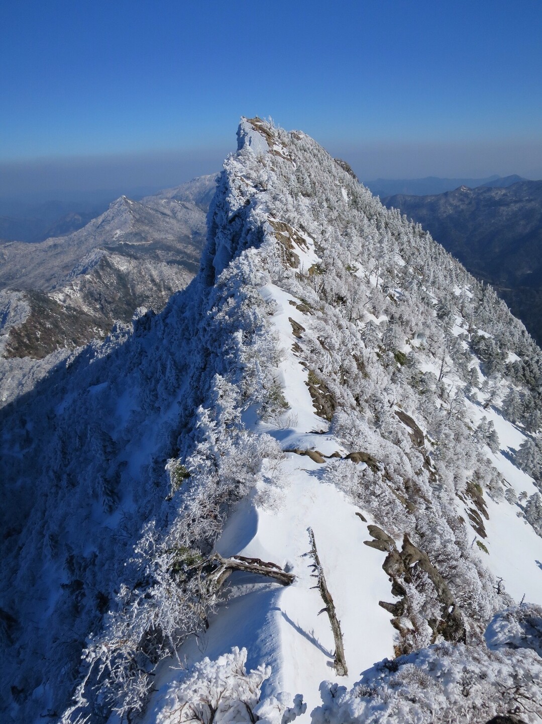 kojiのページ | YAMAP / ヤマップ