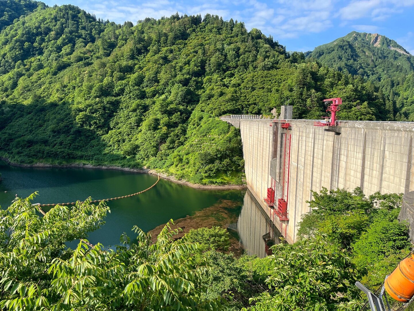 蒜場山-2024-06-20 / Ma-buさんの蒜場山・焼峰山・俎倉山の活動データ | YAMAP / ヤマップ