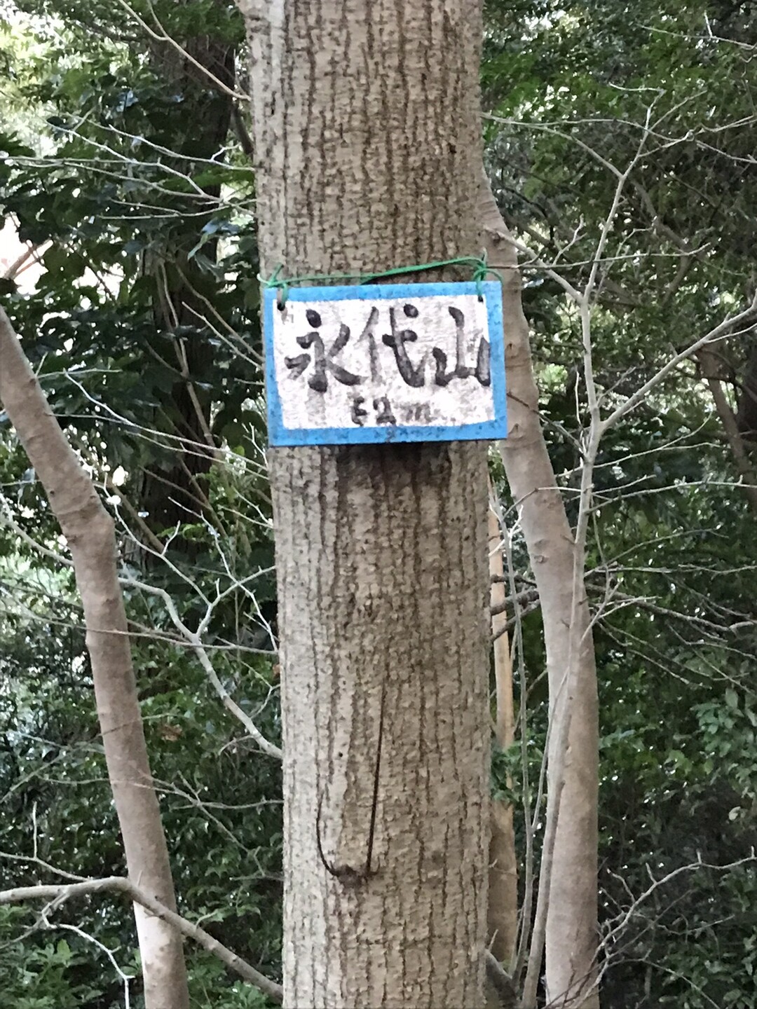 虎尾山(砲台山)永代山 伊勢市低山散策 / issanさんの伊勢市の活動データ | YAMAP / ヤマップ