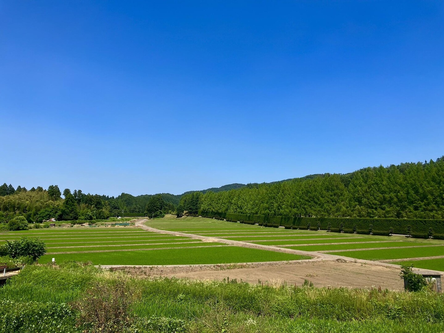 護⇨菩へ周回ラン🏃‍♂️ ︎西山ニ山 / Naluさんの菩提寺山・高立山・護摩堂山の活動データ | YAMAP / ヤマップ
