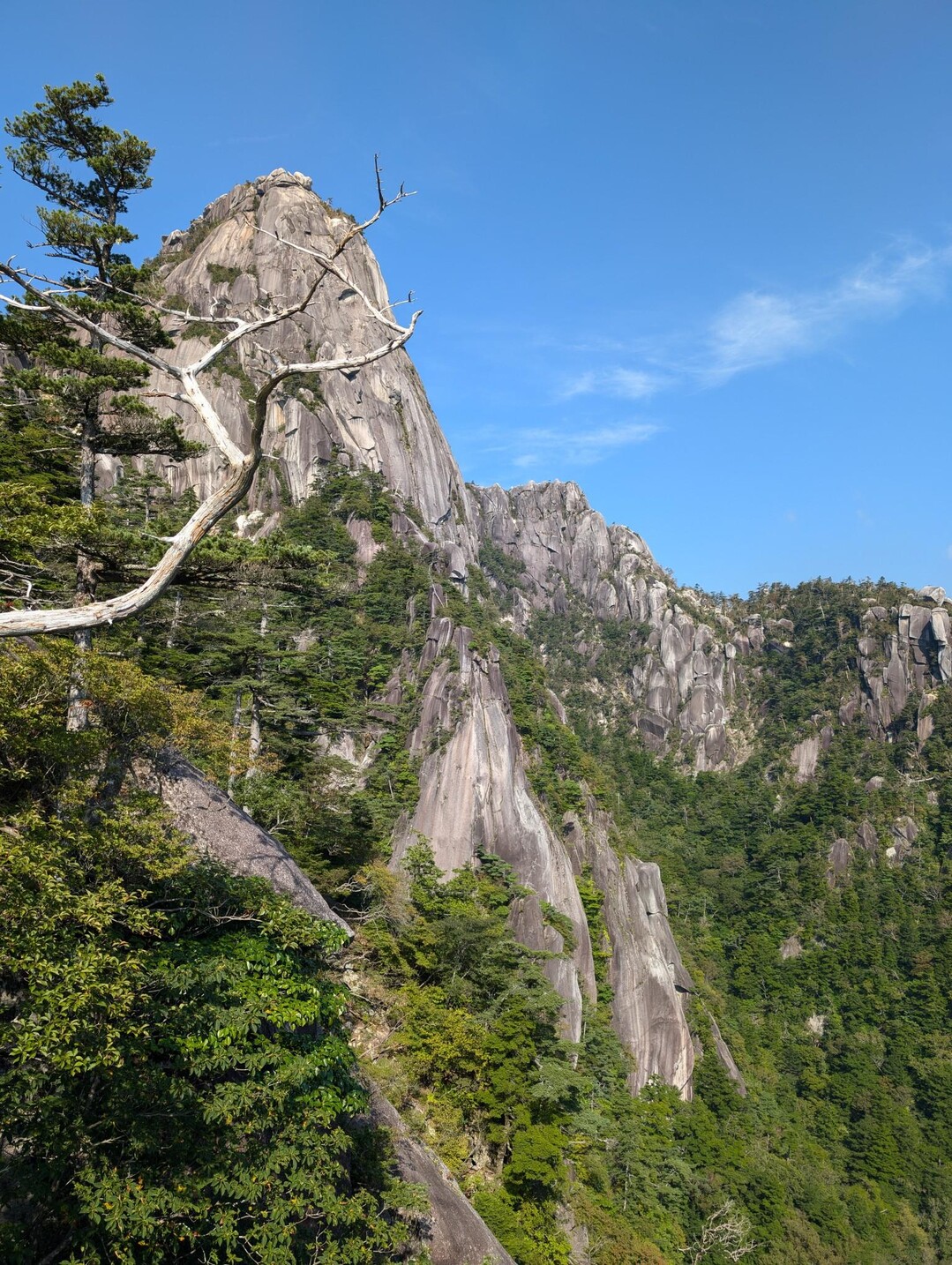 大崩山 / ぴさんの大崩山・五葉岳・新百姓山の活動データ | YAMAP / ヤマップ